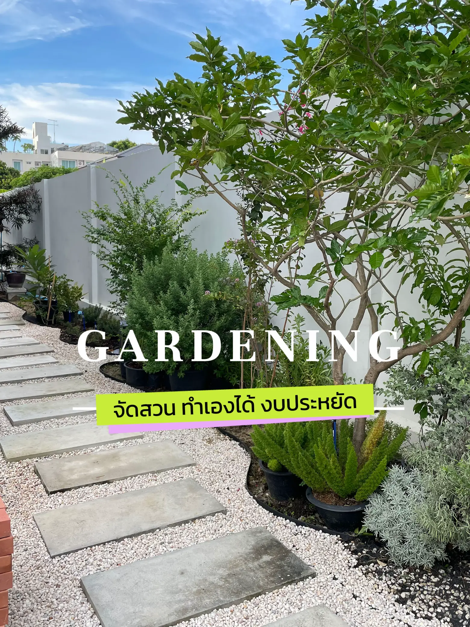 🌳Landscaping, stone walkway, do it yourself, thousand main budget🌳 ...