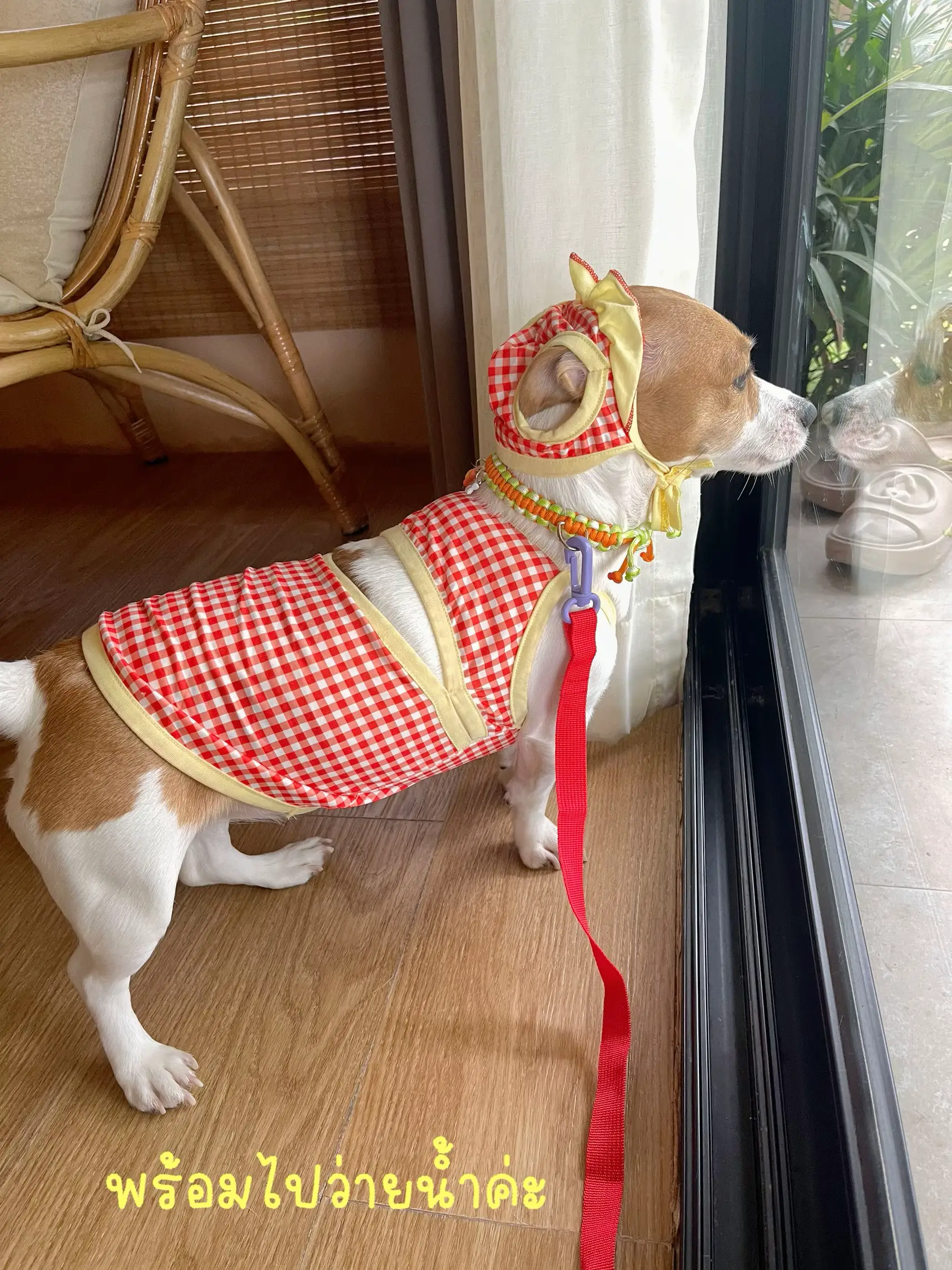 The Life Garden ที่พักเพชรบุรี น้องหมาพักได้ด้วยน้า🏖️🐶 | แกลเลอรีที่โพสต์โดย Pitcha.Lim | Lemon8