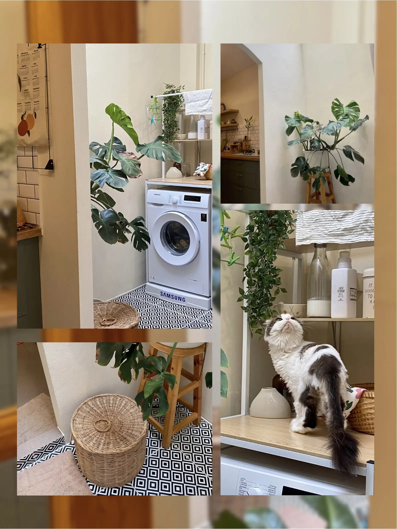 Home Tour | แต่งบ้าน โซนซักล้างกันเถอะ! | แกลเลอรีที่โพสต์โดย Ajareeaui | Lemon8