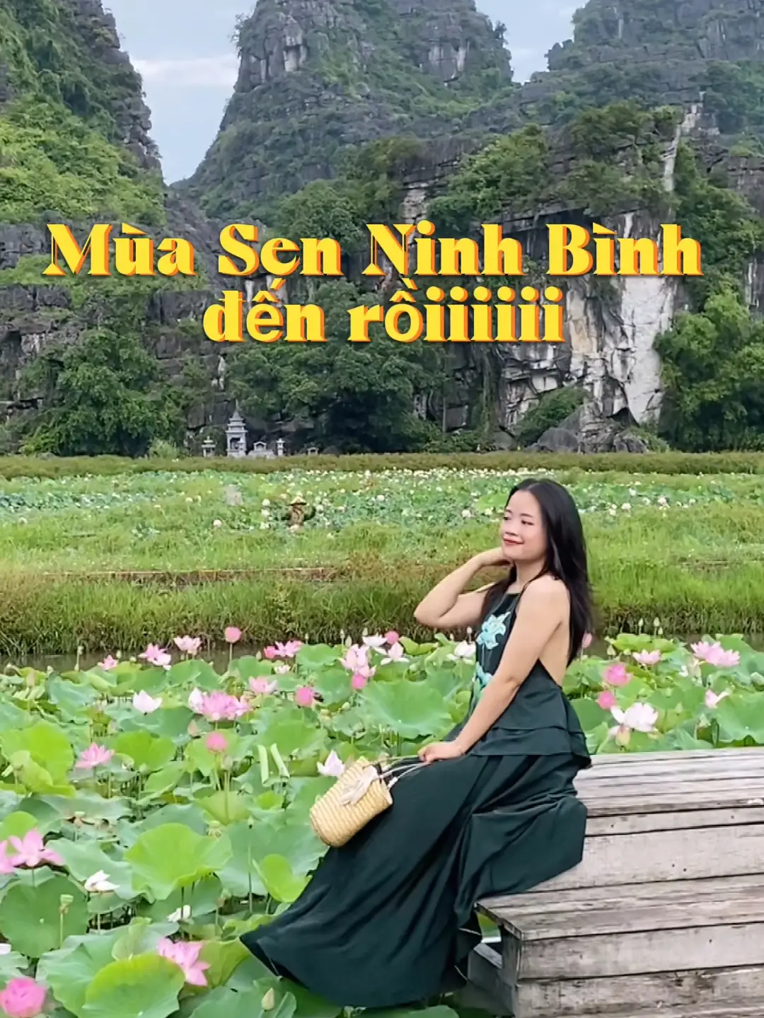 Cập nhật tình hình sen nở tại Ninh Bình | วิดีโอที่เผยแพร่โดย Nhi ơi là Nhi | Lemon8