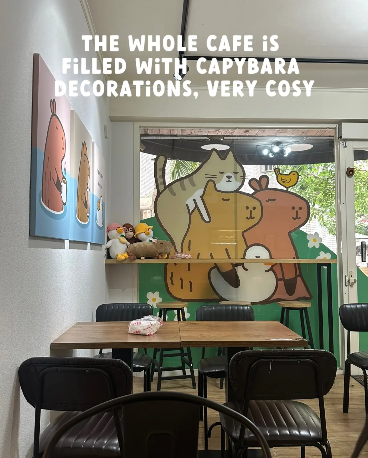 You need to go to this viral CAPYBARA CAFE! 🫶🤩 | Gallery posted by Denise Tan | Lemon8