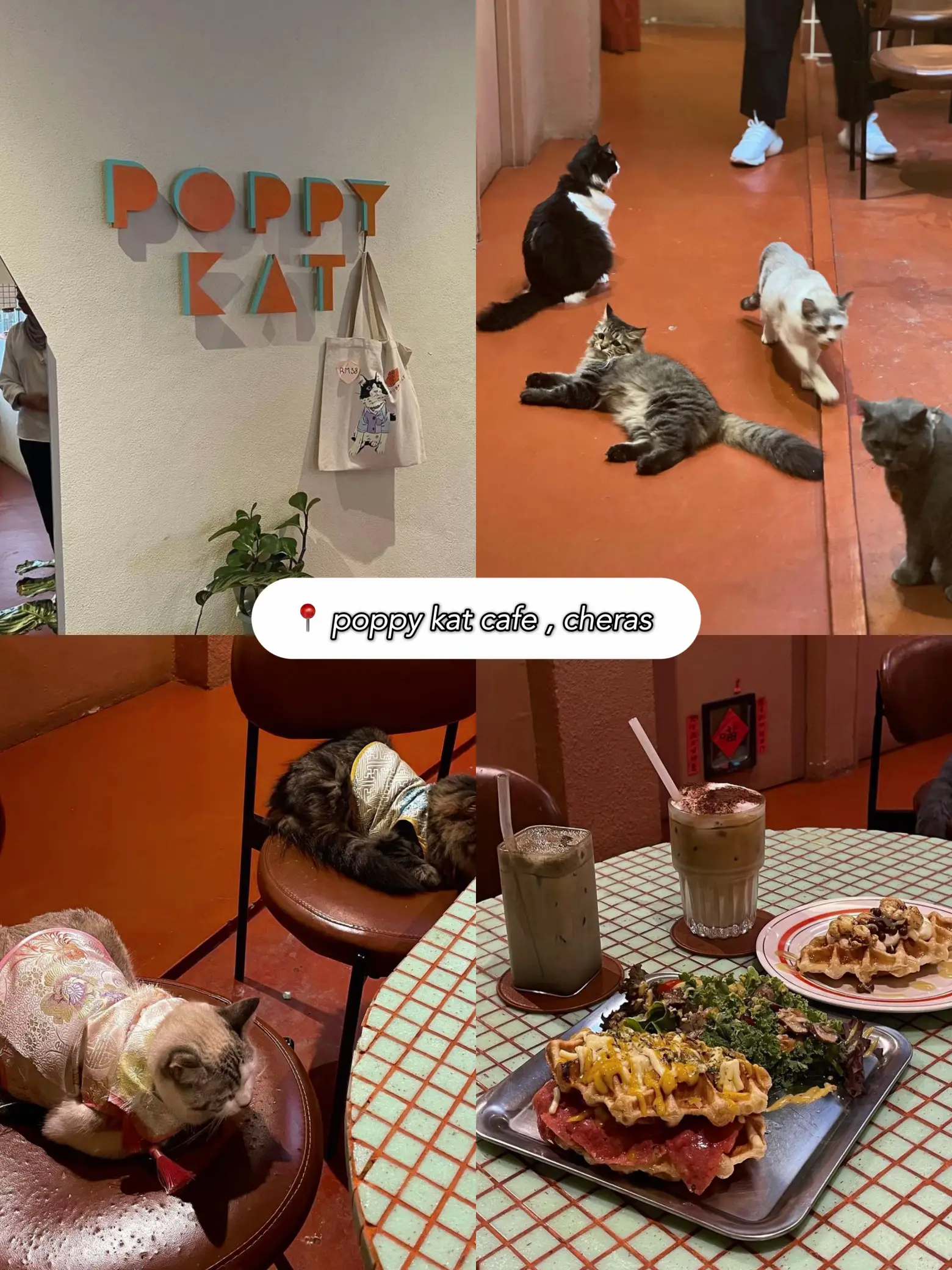 Poppykat Cafe - Cheras | Galeri disiarkan oleh J.Danielle Fzii | Lemon8