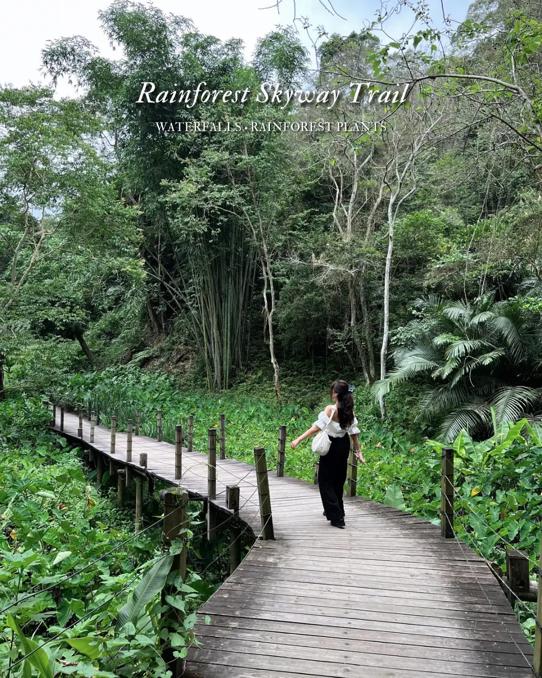 My first time seeing alpacas in Taiwan 🦙🌱 | Gallery posted by cla!re ...