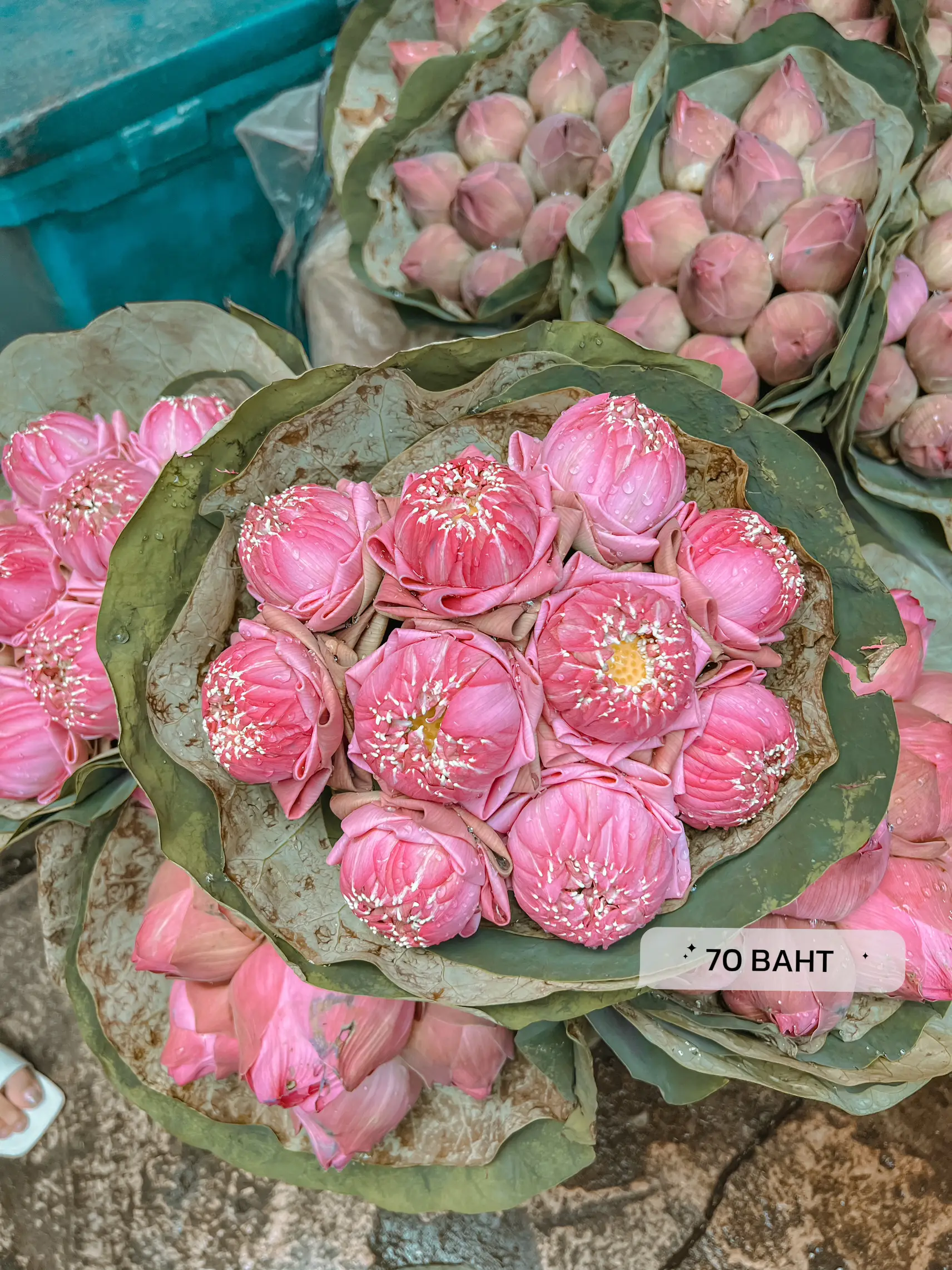 มูวันนี้ ต้อง ไหว้ขอรัก จากพระแม่ลักษมี ตึกเกสร เท่านั้น | แกลเลอรีที่โพสต์โดย Mathu | Lemon8