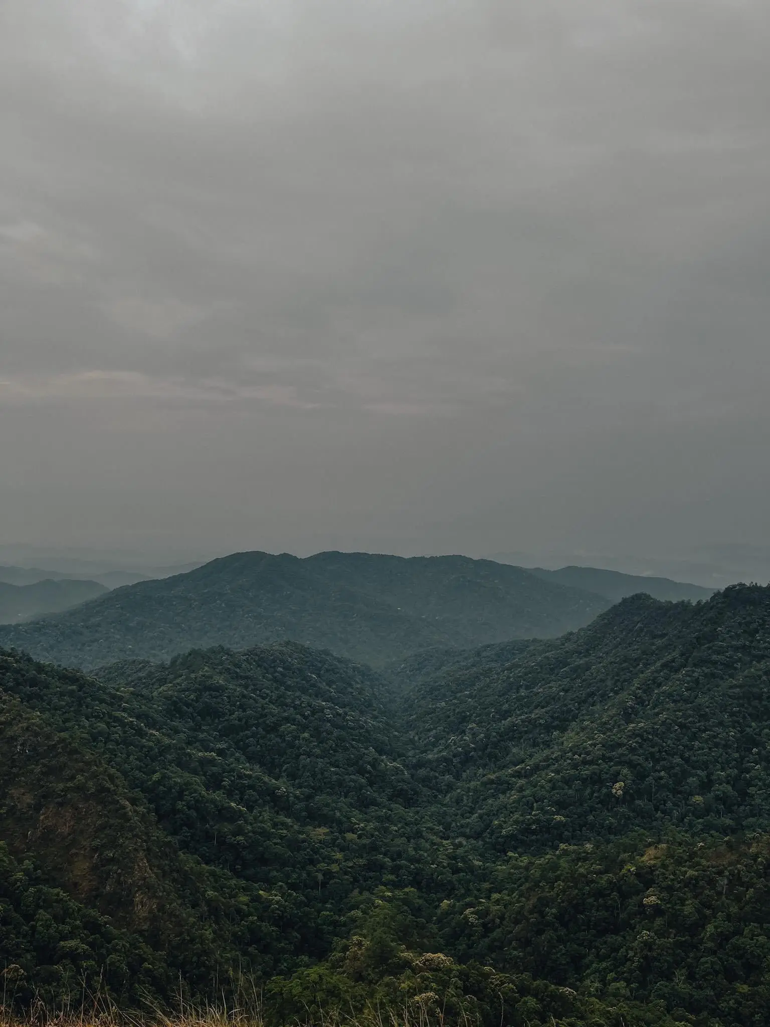 เดินป่าชิลล์ๆ (มั้ง) ที่ดอยลังกาน้อย | แกลเลอรีที่โพสต์โดย Nit Niramon | Lemon8