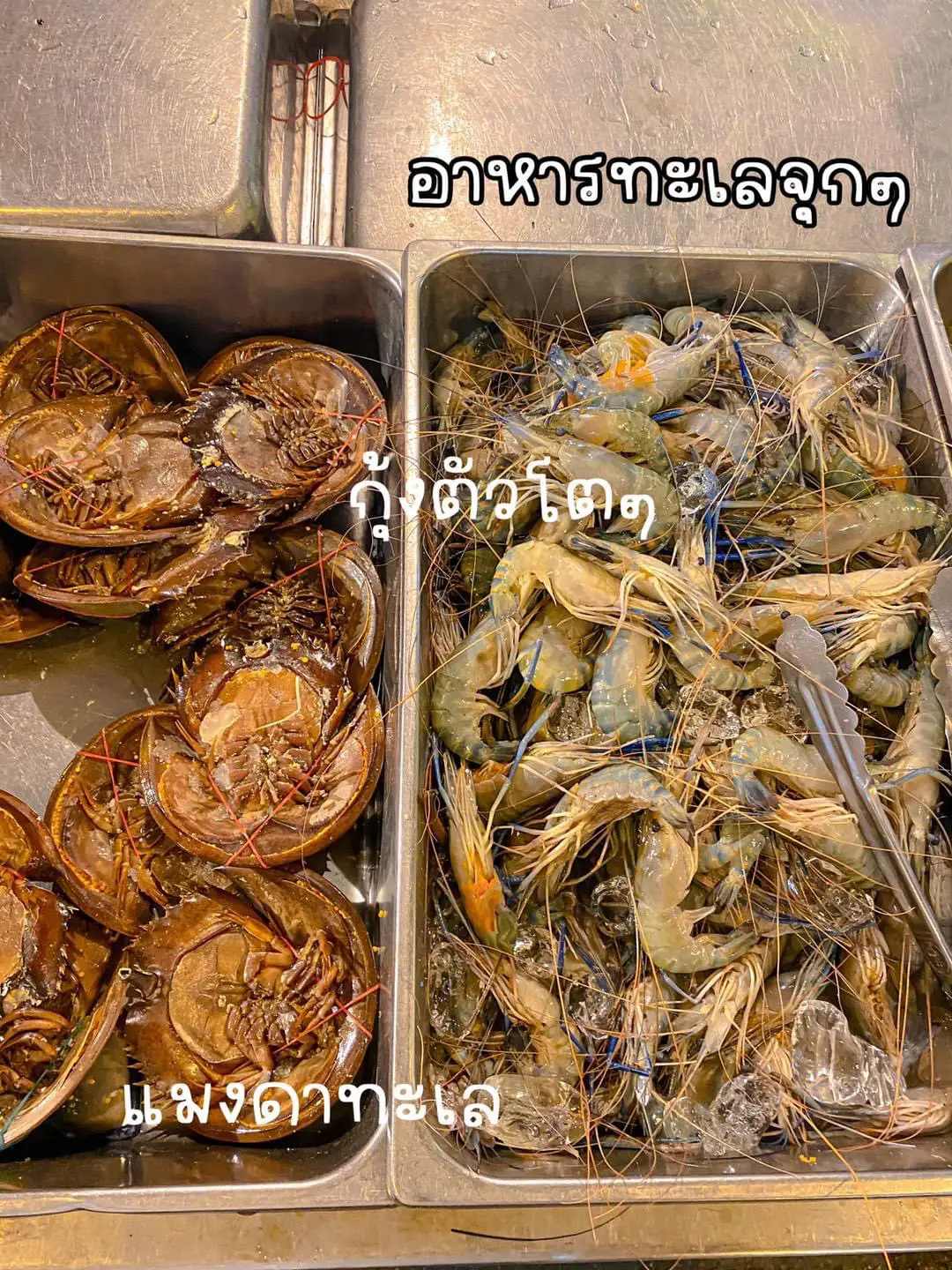 🦐🦀 Buffet Lover 🐠🎣 ริมน้ำเจ้าพระยาแค่ 299.- | แกลเลอรีที่โพสต์โดย Surijoin | Lemon8