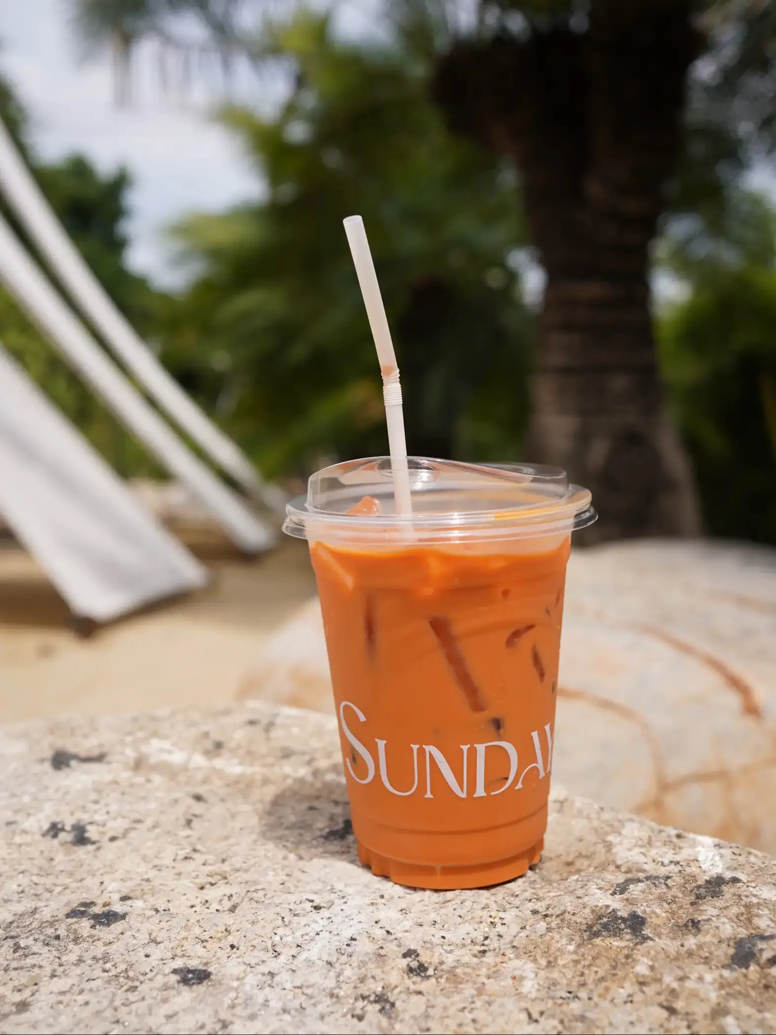 sunday in 345 cafe คาเฟ่เปิดใหม่ ฟีลทะเลทราย 🏜️ | แกลเลอรีที่โพสต์โดย seenamz | Lemon8