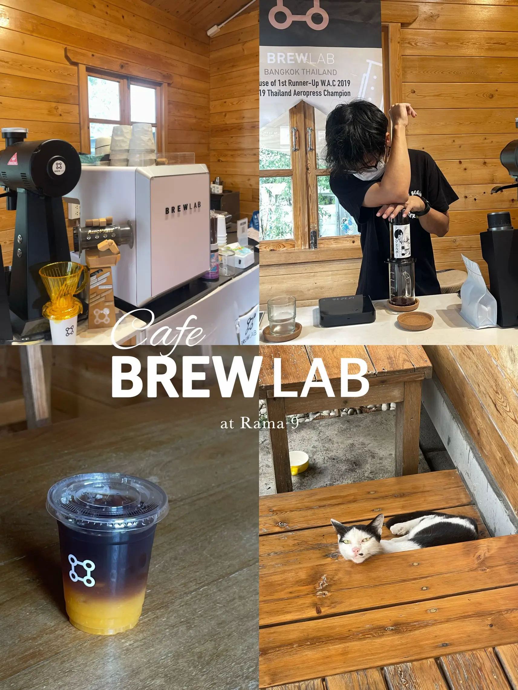 cafe - BREWLAB 🍊☕️ | แกลเลอรีที่โพสต์โดย l4apr | Lemon8