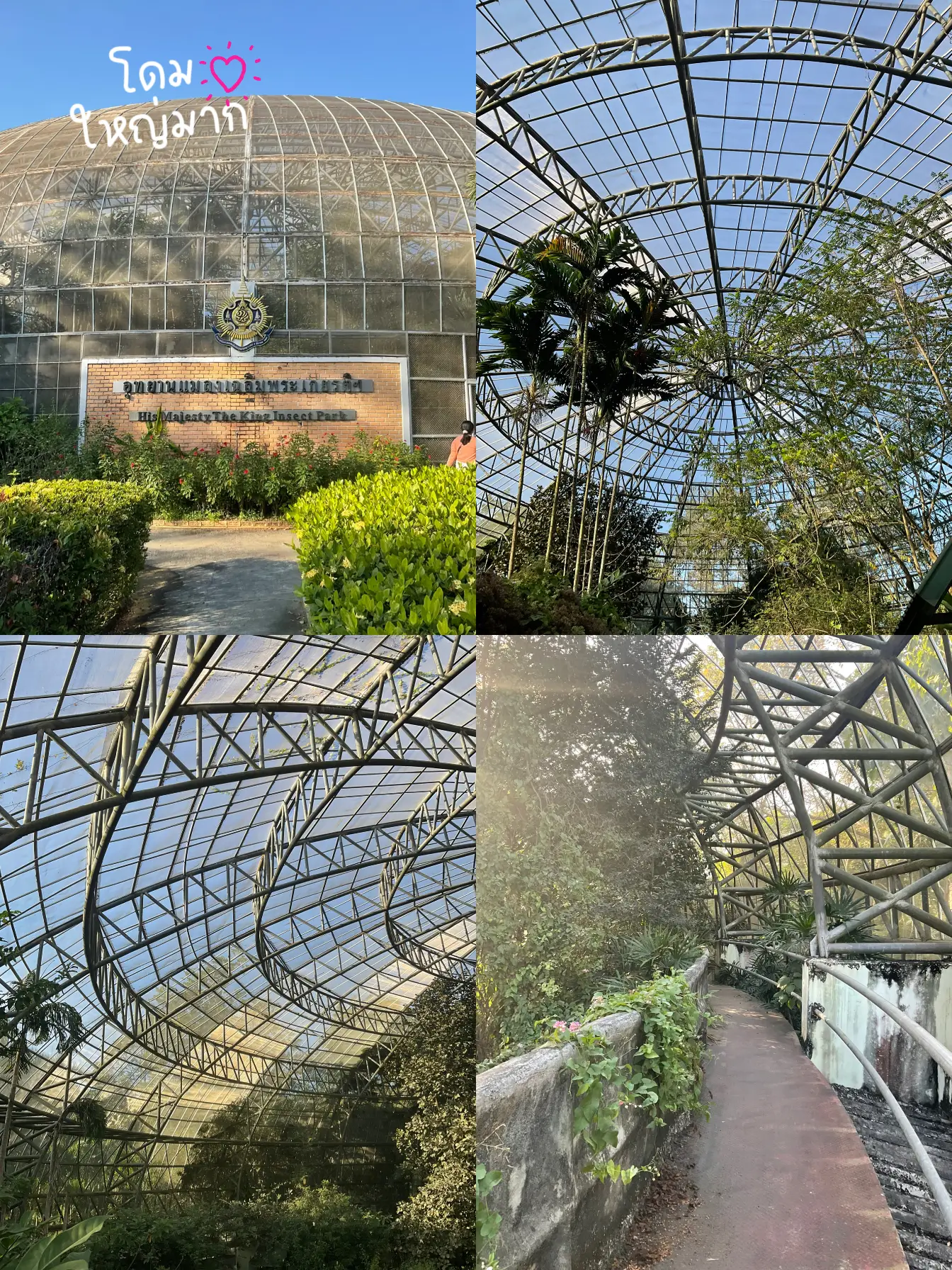 Take a walk 👀. Look at the butterflies at the insect dome. Agriculture ...