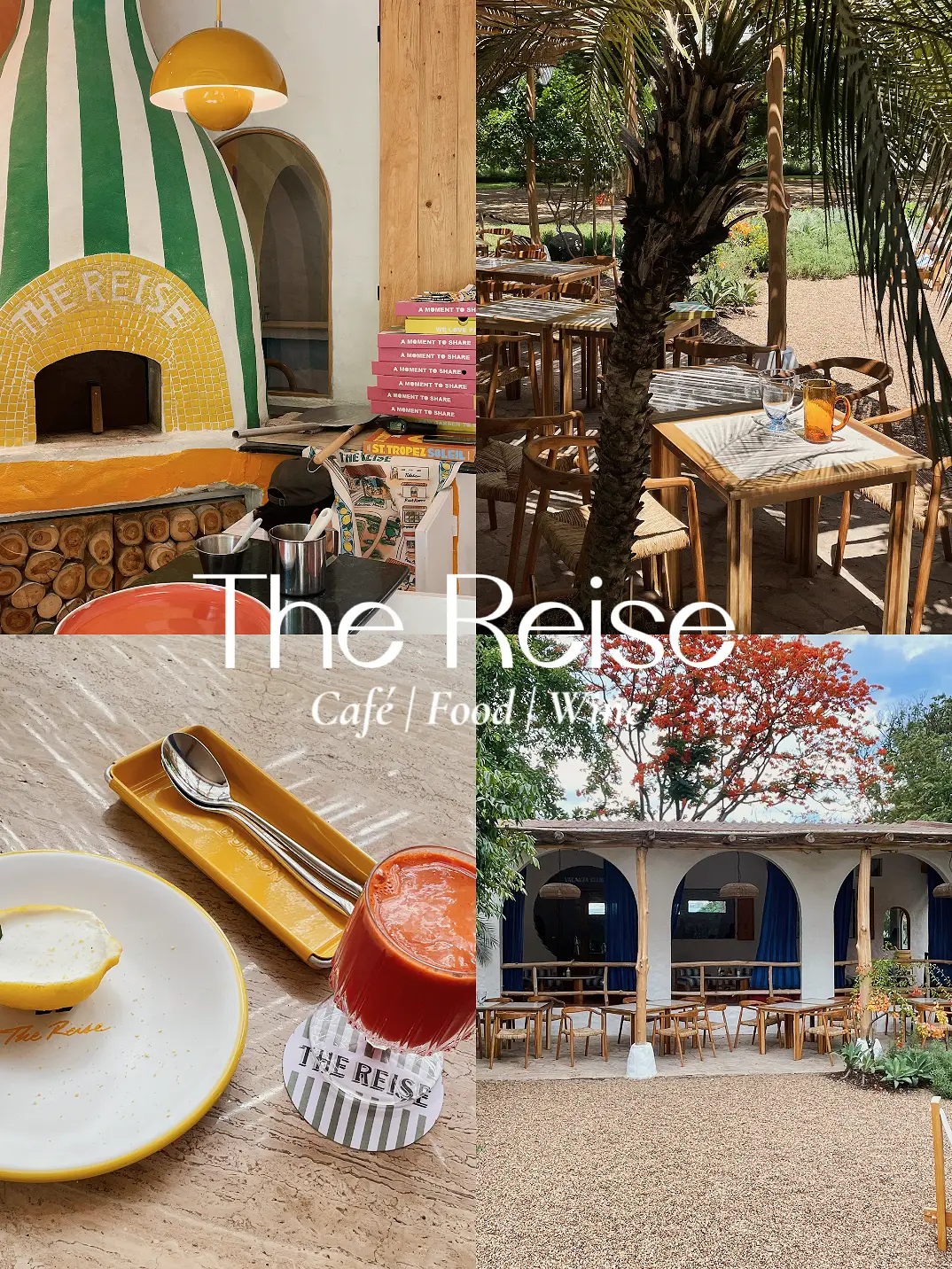 the reise ประชาชื่น thoeythoey - การค้นหาใน Lemon8