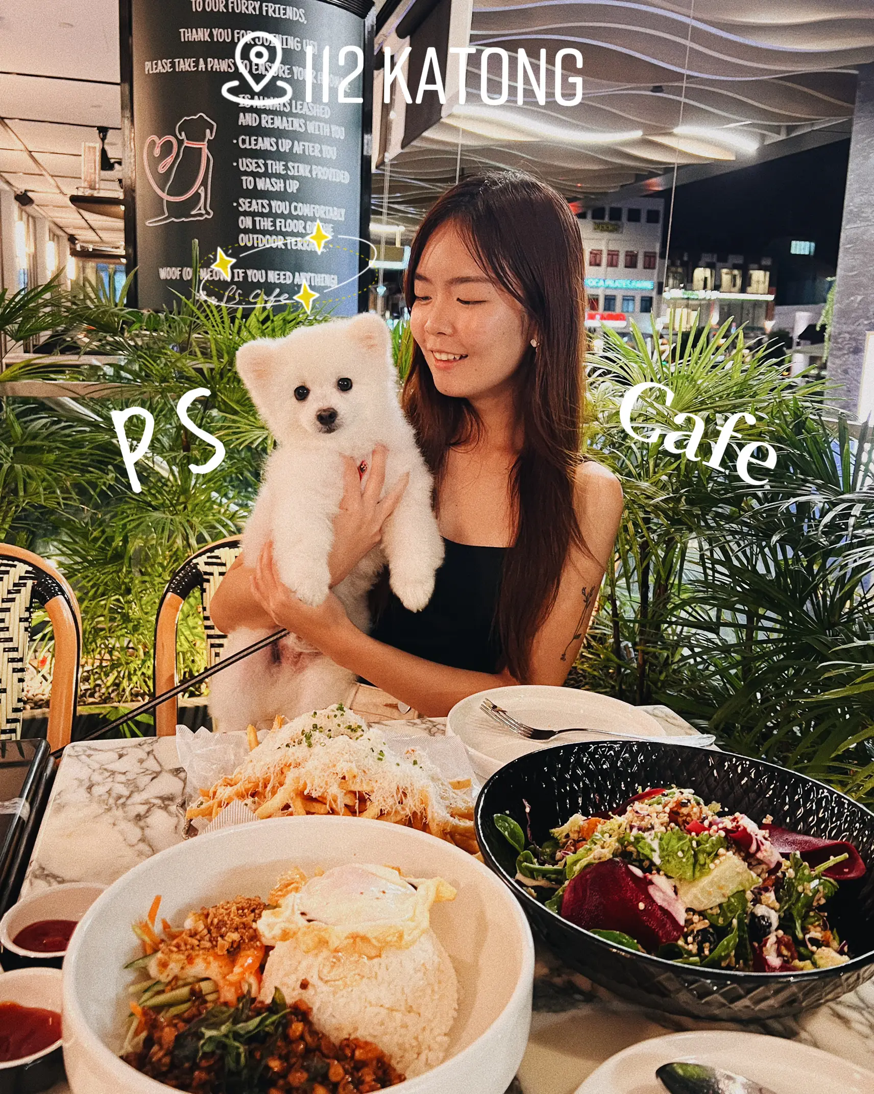 🇸🇬 New dog-friendly cafe in Katong | Gallery posted by Megan | Lemon8