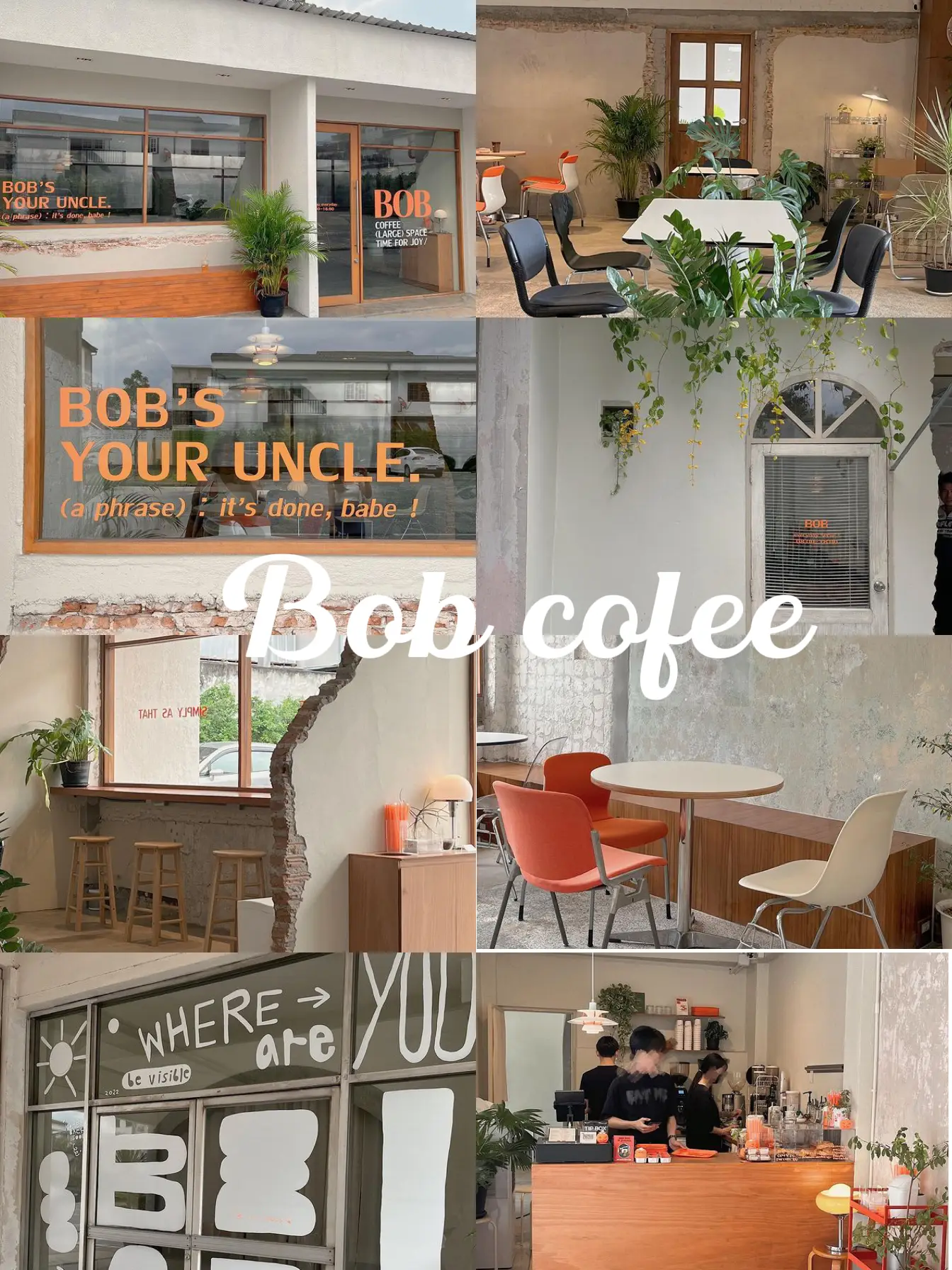 คาเฟ่สไตล์เกาหลี น่ารักๆ @เชียงใหม่ ep.1 ☕️ | แกลเลอรีที่โพสต์โดย Kanjana Bow | Lemon8