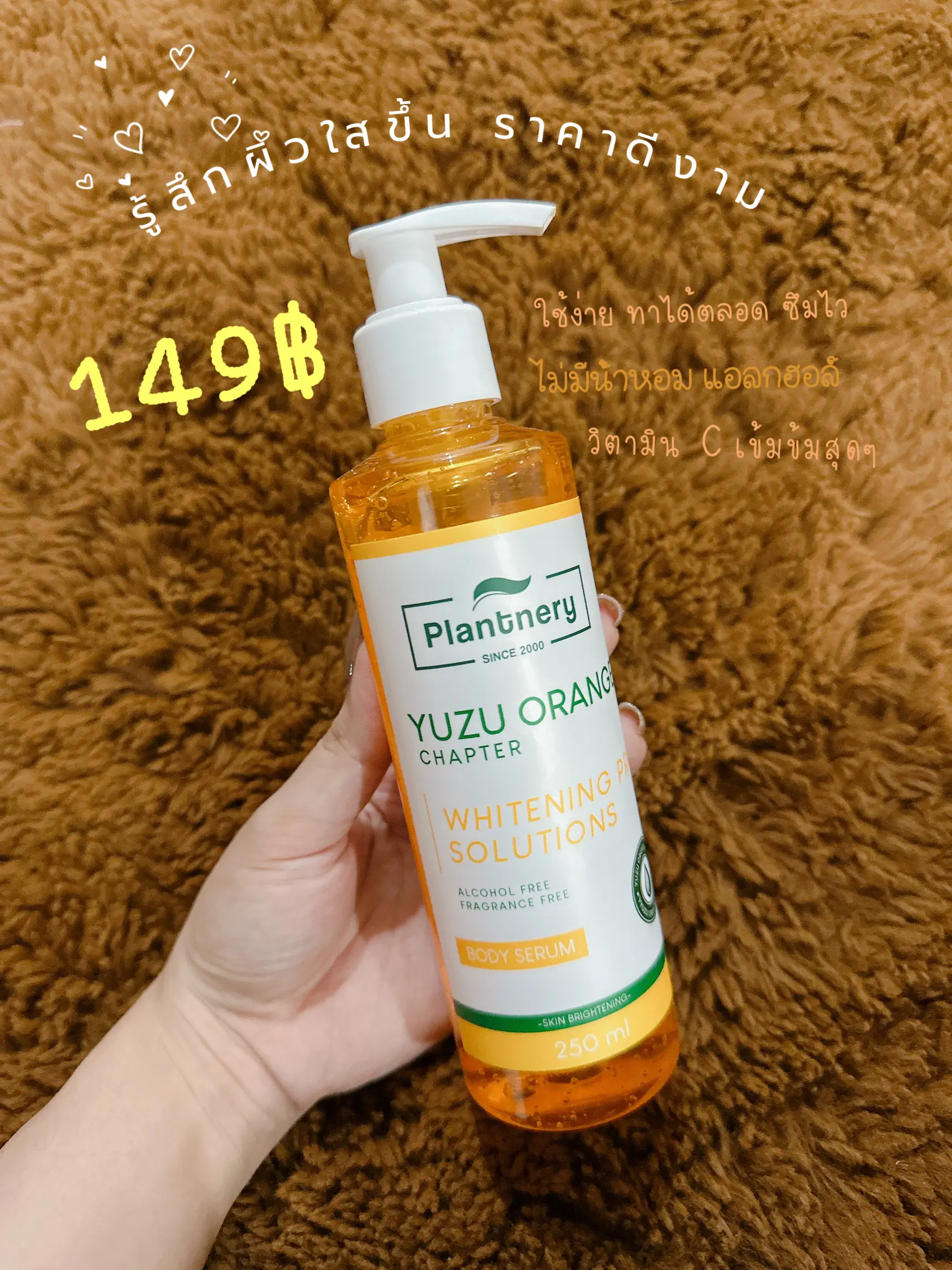 Yuzu Orange ราคา100ต้นๆ | แกลเลอรีที่โพสต์โดย ♡ PPLANG 🧸 | Lemon8