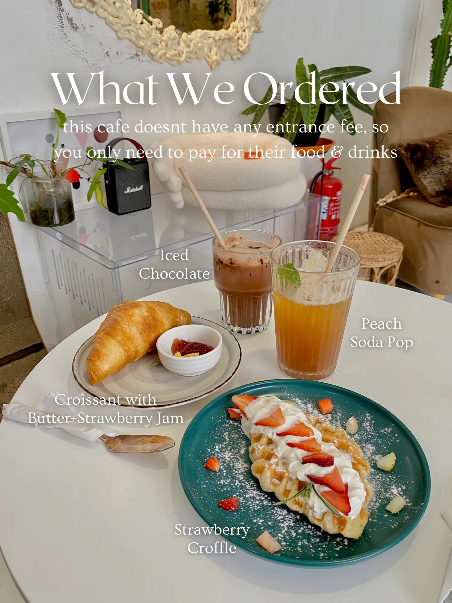 Must Visit at Pasar Seni: Monster A Garden Cafe 🐱🌻 | Galeri disiarkan ...