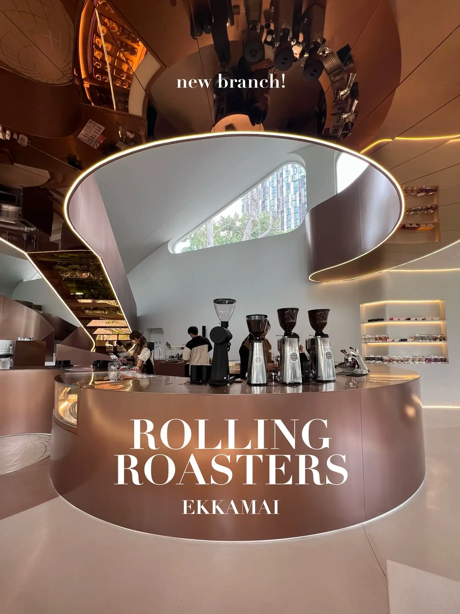 Rollingroaster - การค้นหาใน Lemon8