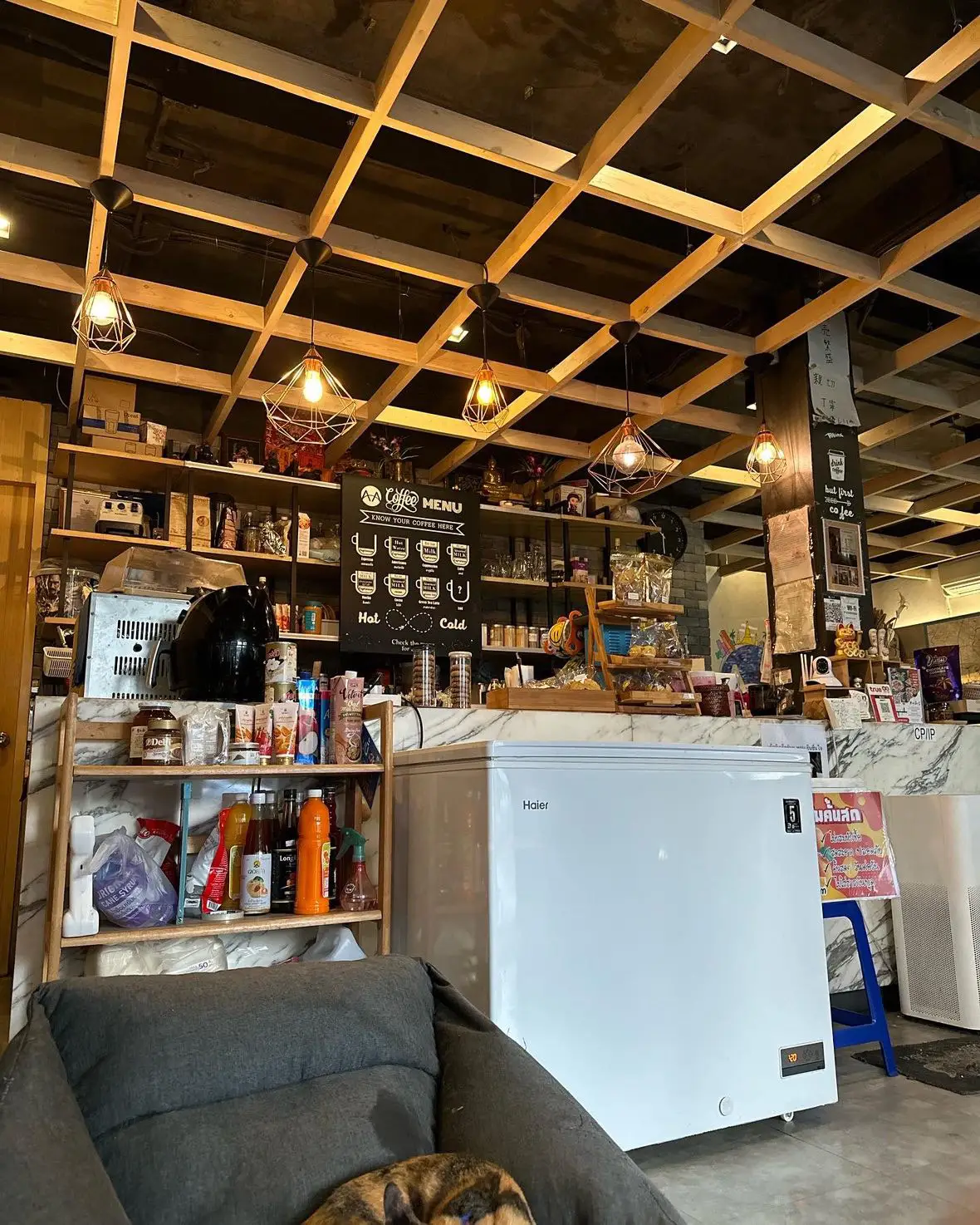 รีวิวคาเฟ่แมว cazz cafe & hostel ย่านพระโขนง | แกลเลอรีที่โพสต์โดย lilyasp.p | Lemon8