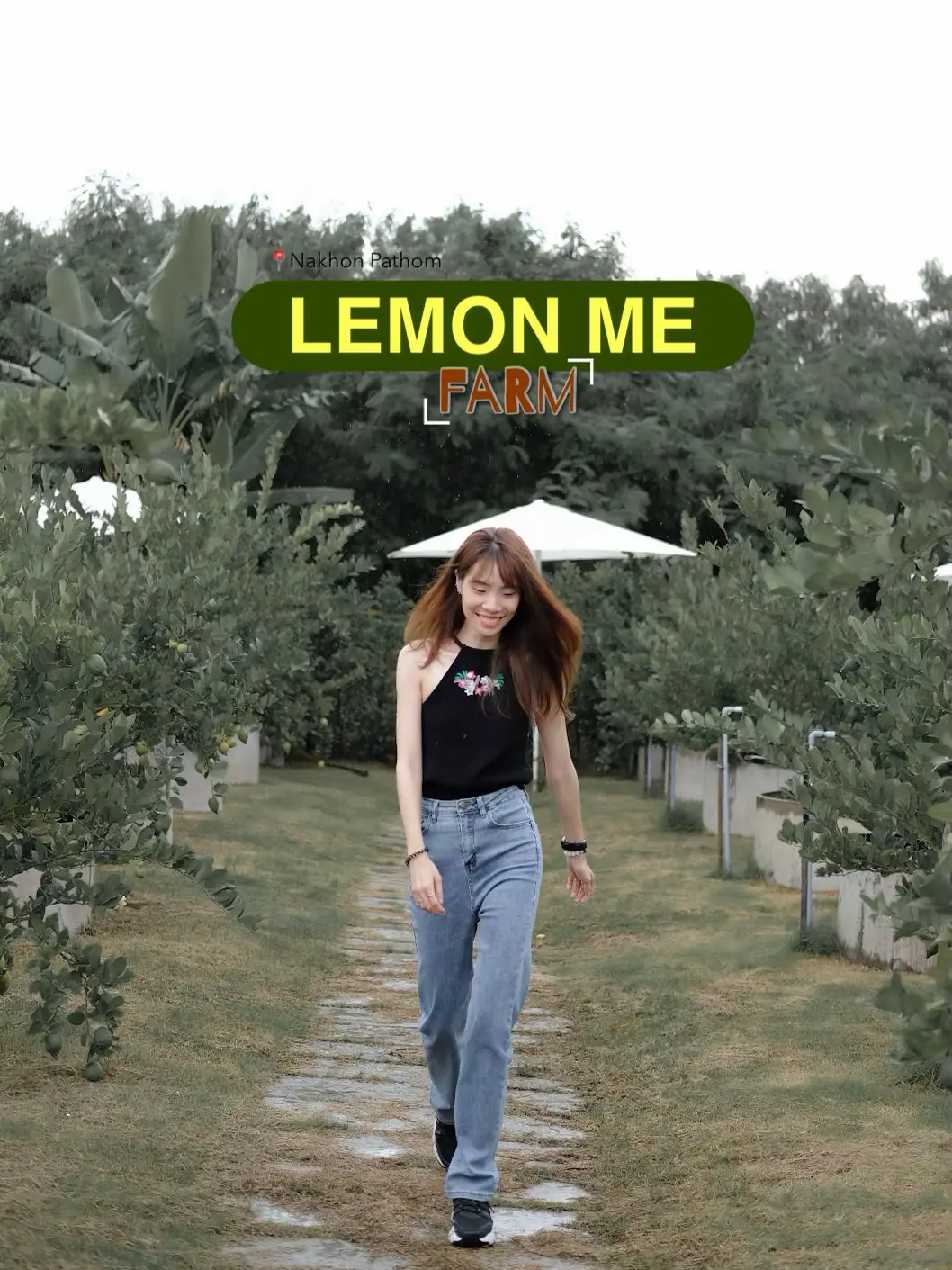 🍋คาเฟ่สวนเลมอน สไตล์ญี่ปุ่น🎋 | แกลเลอรีที่โพสต์โดย ・N 🤍 | Lemon8