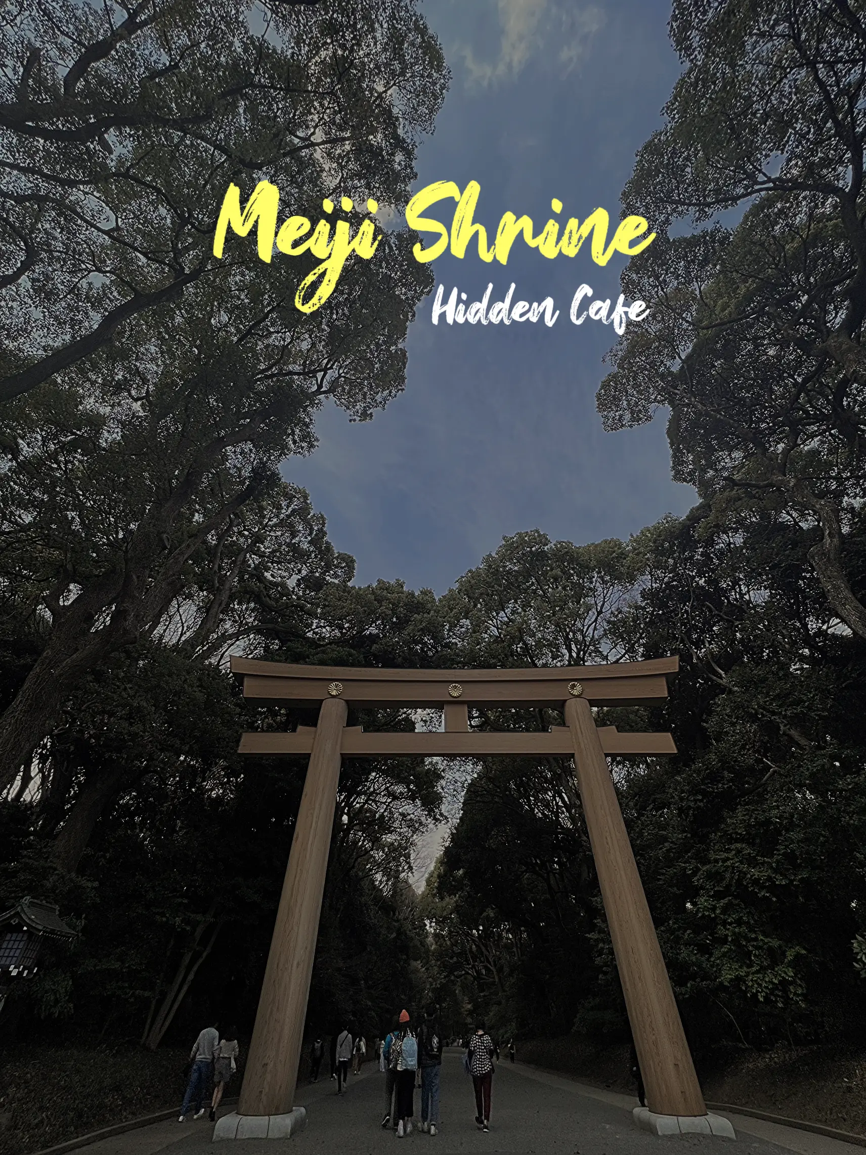 🍰 Hidden Cafe at Meiji Shrine | แกลเลอรีที่โพสต์โดย TriplePeaxh | Lemon8