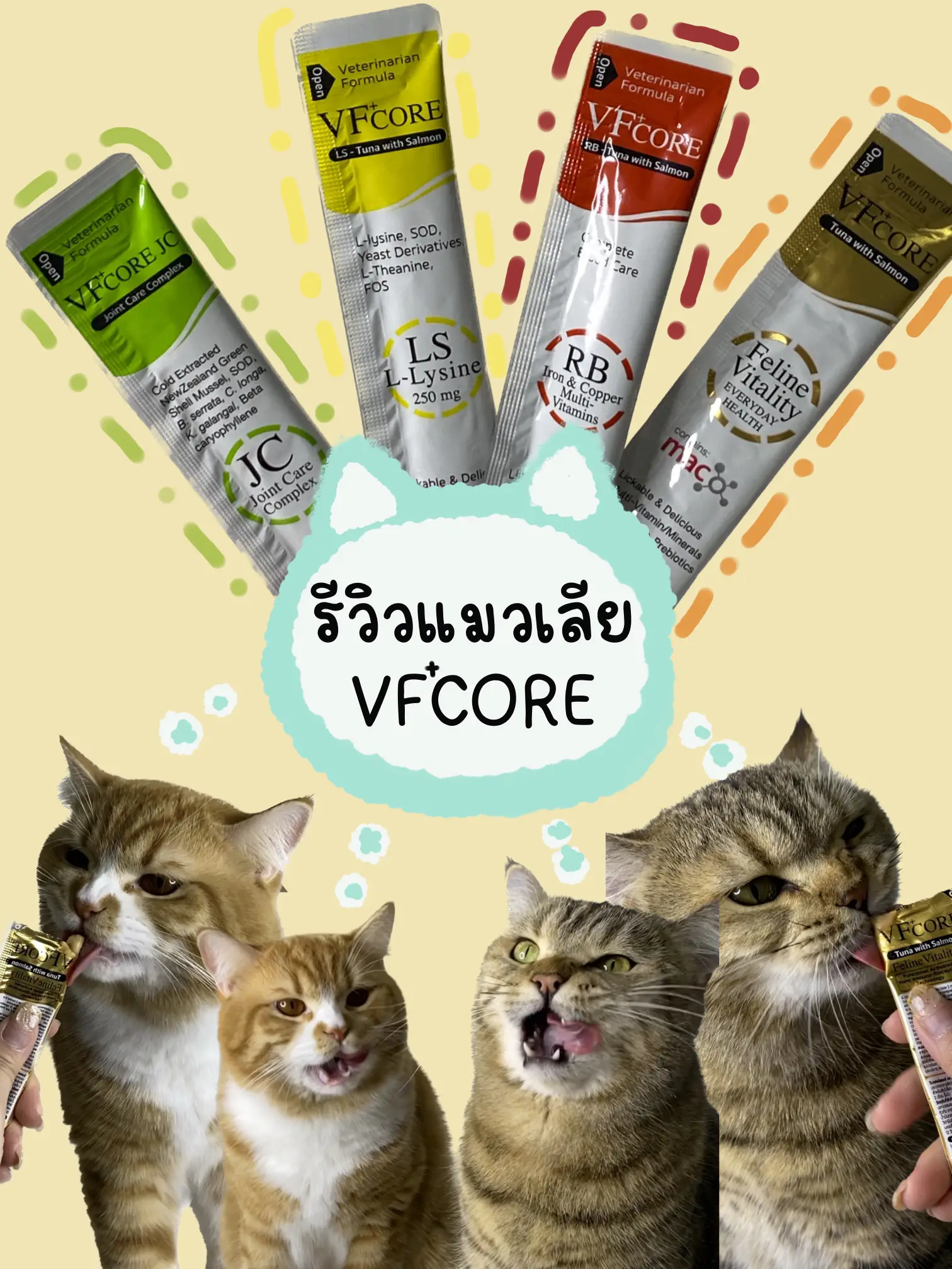 VF+CORE แมวเลียที่เจ้าเหมียวชอบ😻😽🫶🏻 | แกลเลอรีที่โพสต์โดย ᴇᴀʀɴɴ ̈ | Lemon8