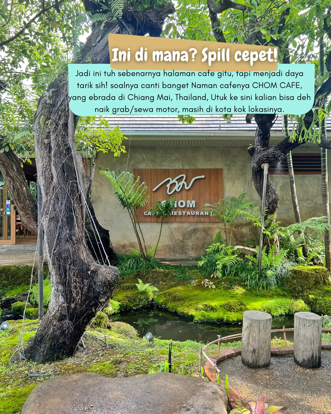 HUTAN ESTETIK DI CHIANG MAI, WAJIB KE SINI YA… | Galeri diposting oleh ...