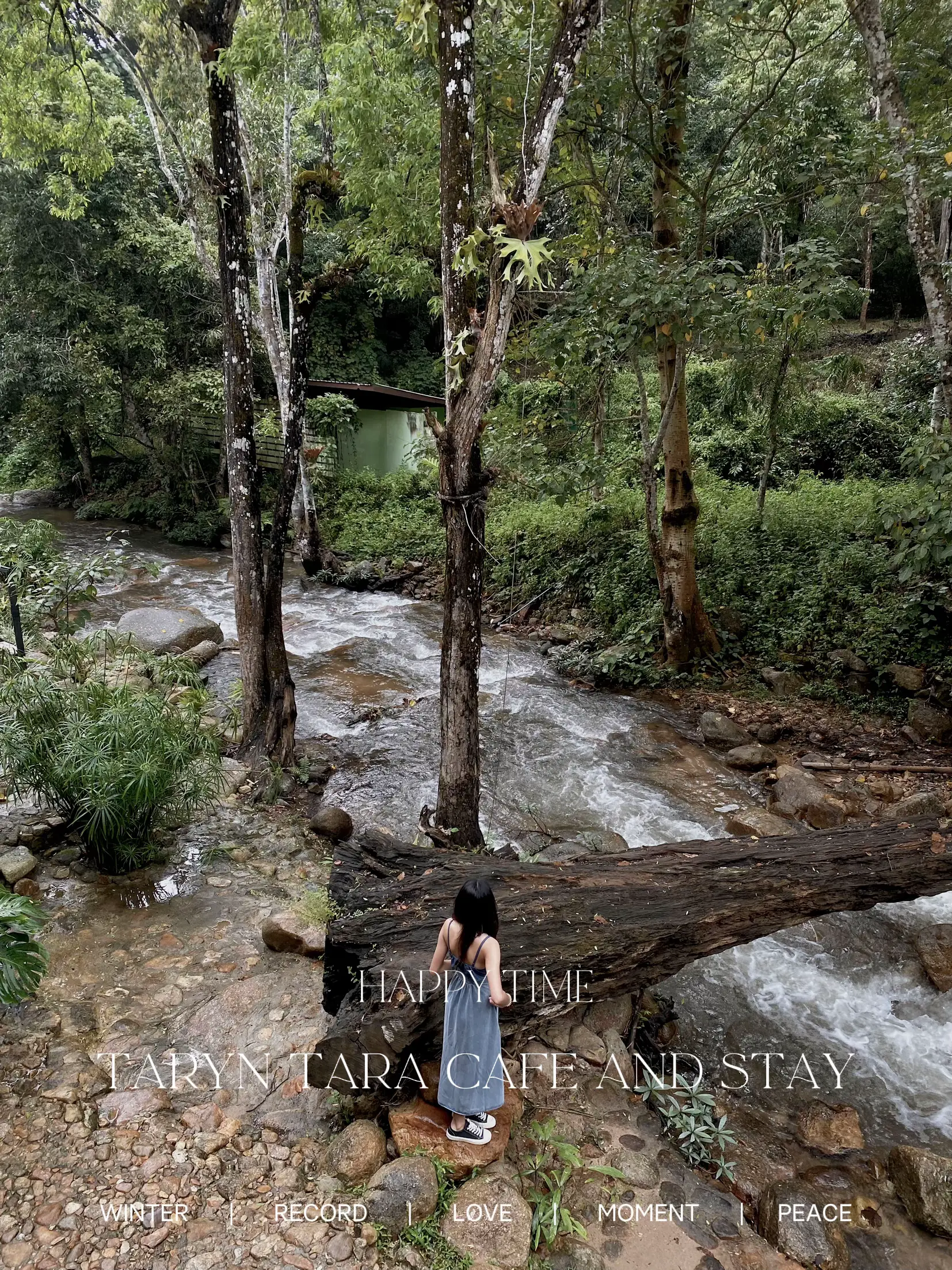 คาเฟ่ TARYN TARA CAFE AND STAY. @แม่กำปอง | แกลเลอรีที่โพสต์โดย Meiyyy ...