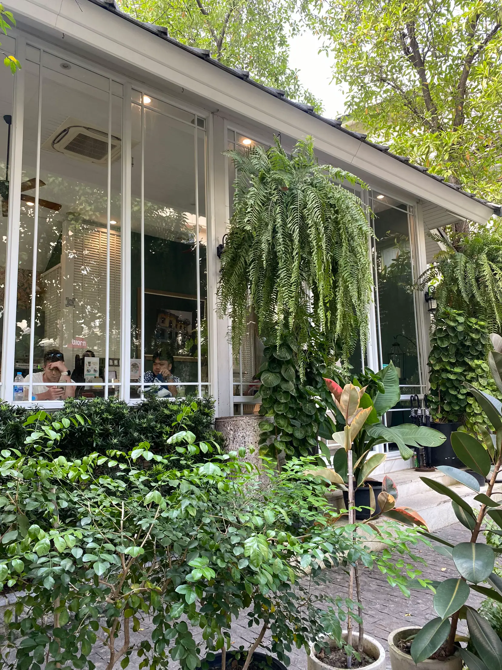 ‘𝐂𝐡𝐚𝐭𝐚 𝐬𝐩𝐞𝐜𝐢𝐚𝐥𝐭𝐲 𝐜𝐨𝐟𝐟𝐞𝐞 ‘ คาเฟ่ร่มรื่นแถวเยาวราช | แกลเลอรีที่โพสต์โดย ...