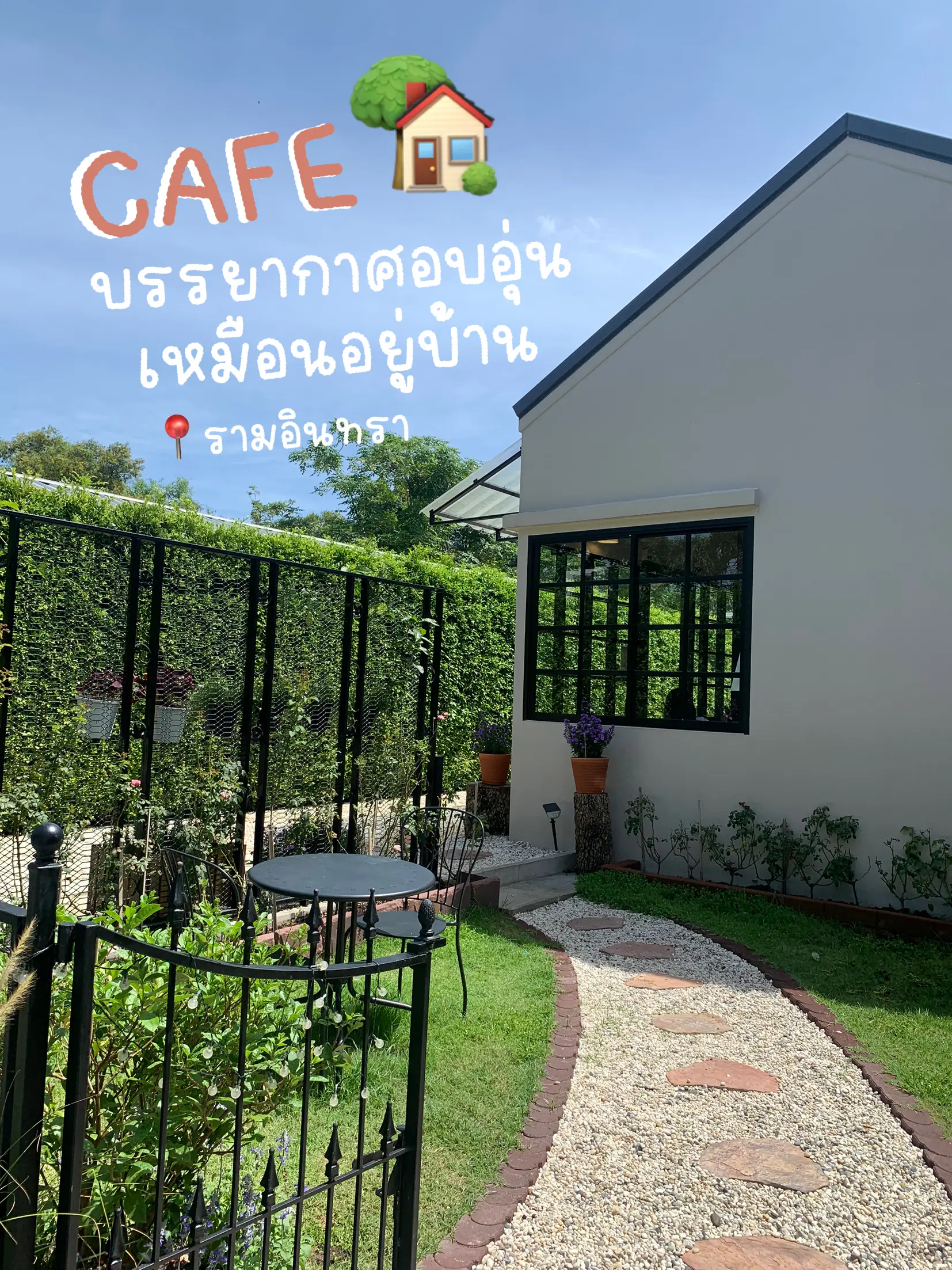 ร้าน Whale Bakk | 2025 ประสบการณ์ผู้ใช้จริงบน Lemon8