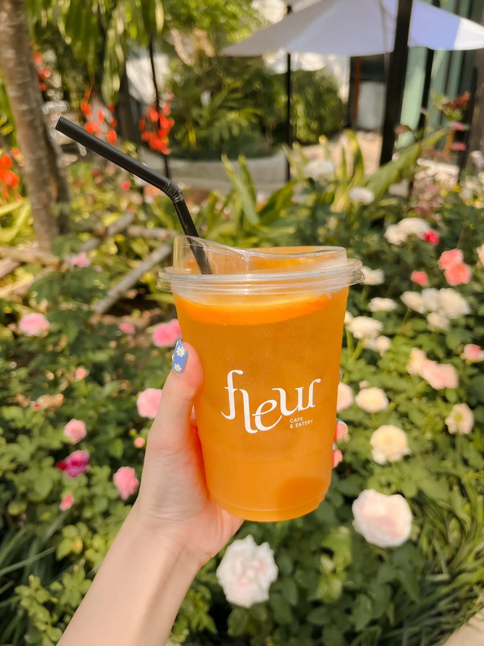 Fluer Cafe & Eatery | Chiang Mai | แกลเลอรีที่โพสต์โดย 𝐦𝐦 ♡︎ | Lemon8