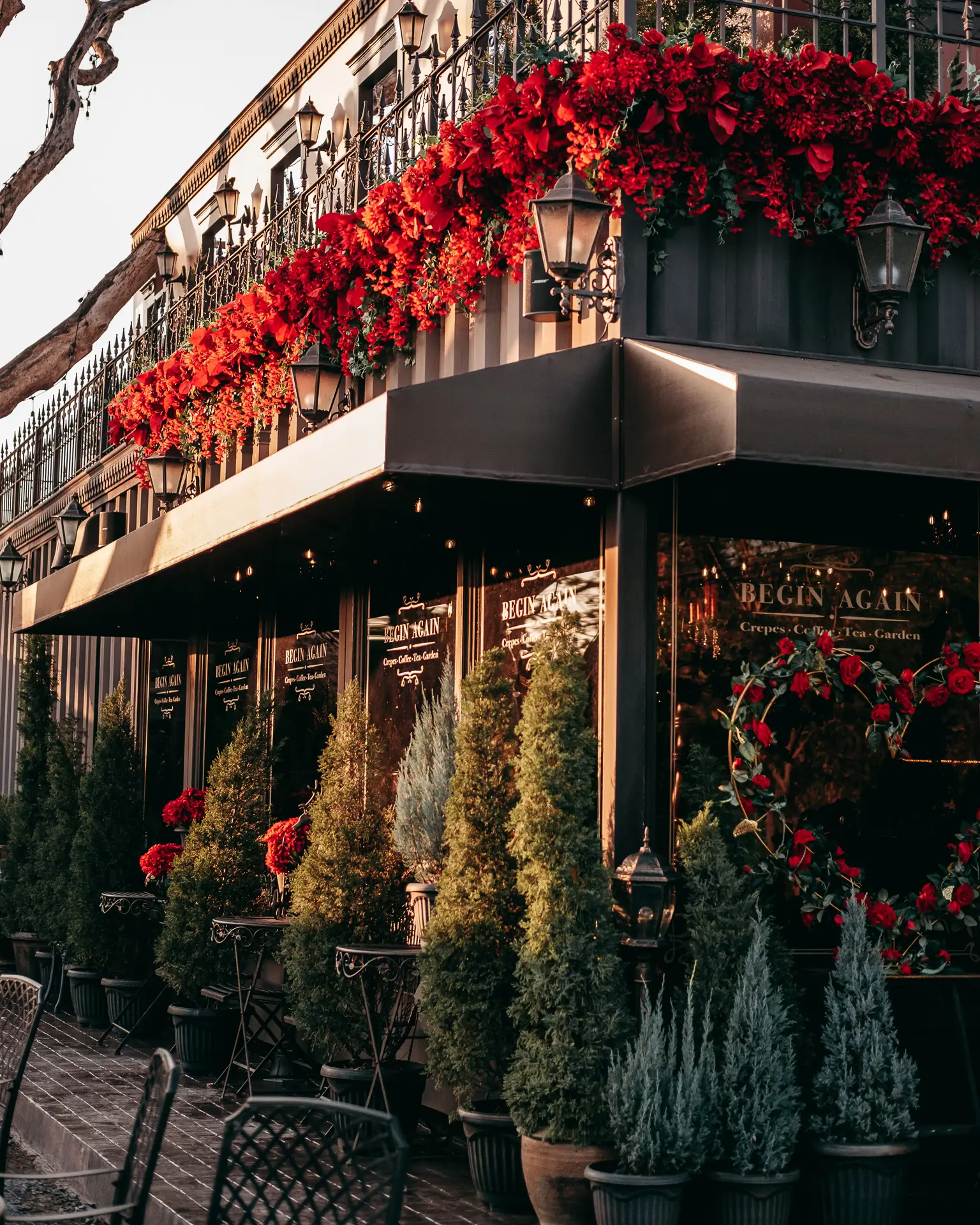 Begin Again จัดธีมวาเลนไทน์สวยมาก มาสวีทวาเลนไทน์กัน 🌹🌹 | แกลเลอรีที่โพสต์โดย Rattomarty | Lemon8