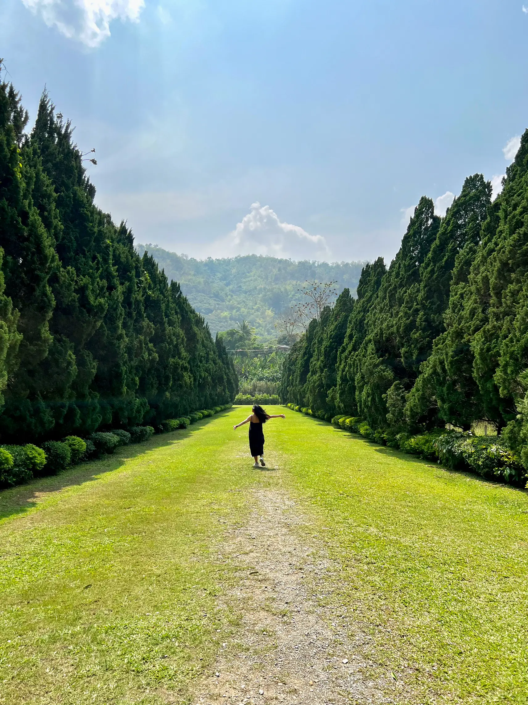 Cypress Lanes 🌲 📍Chiang Mai | แกลเลอรีที่โพสต์โดย Beautyy. | Lemon8