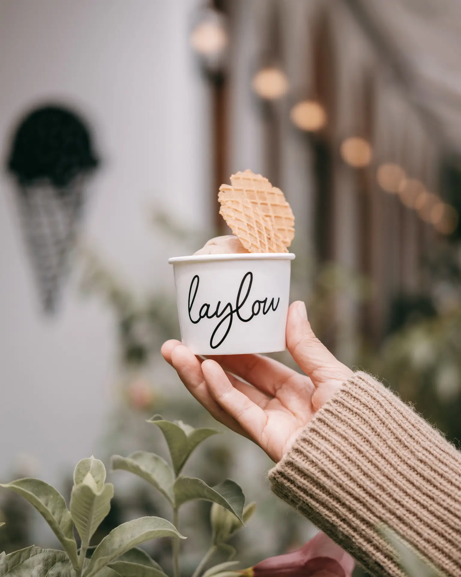 LAY LOW คาเฟ่เปิดใหม่ย่านประชาชื่น ชูจุดเด่นเรื่องไอศกรีม 🍦 | แกลเลอรี ...