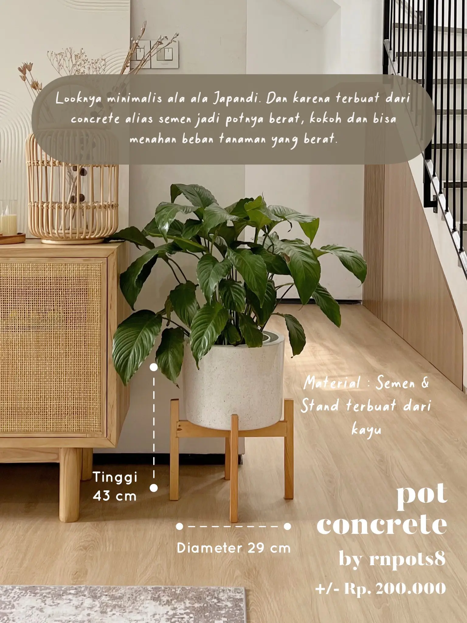 REKOMENDASI POT ESTETIK 🌿 | Galeri diposting oleh casasakha | Lemon8