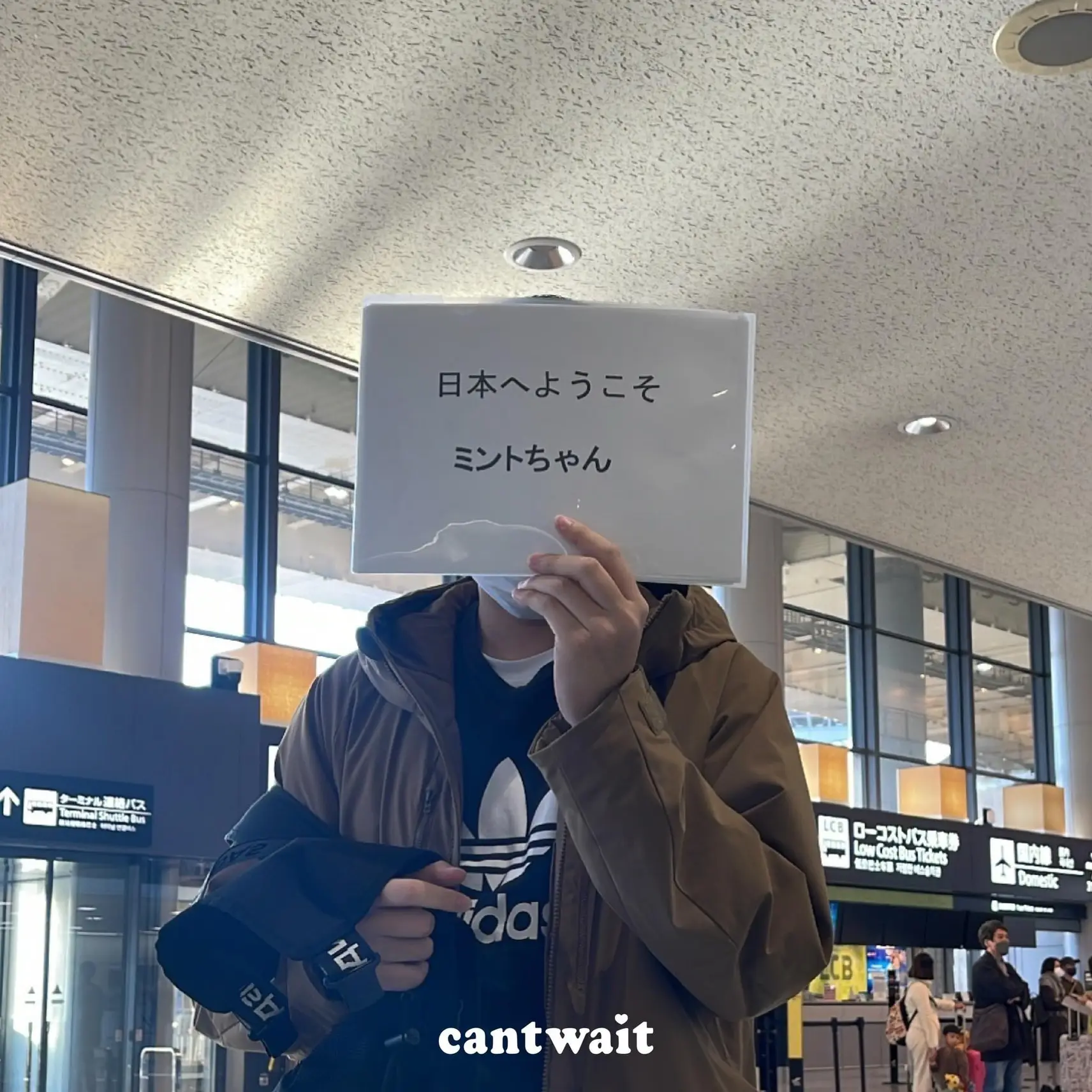 ขอมา “ รีวิว zip air การสายบินโลว์คอสน้องใหม่ของญี่ปุ่นน !! | แกลเลอรี ...