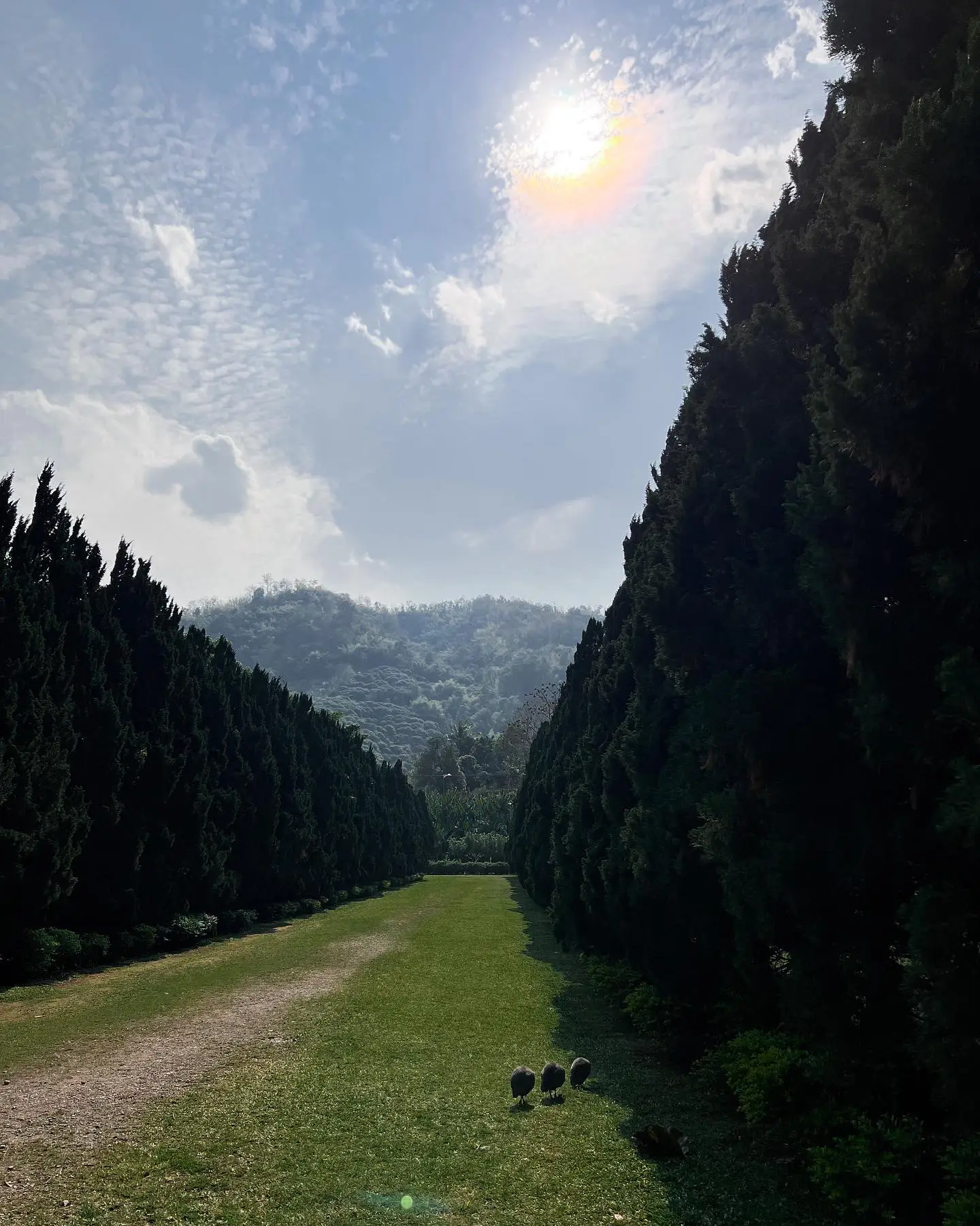 Check-in📍 “Cypress Lanes” คาเฟ่เชียงใหม่ | แกลเลอรีที่โพสต์โดย Check-in Chill | Lemon8