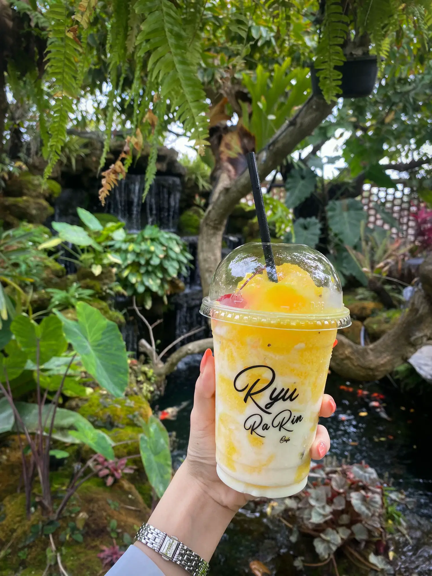 Ryu ra Rin Cafe 🍃 ใครรักต้นไม้ไม่ควรพลาด🌱 | แกลเลอรีที่โพสต์โดย ｱﾑ’ ｱ乇W | Lemon8