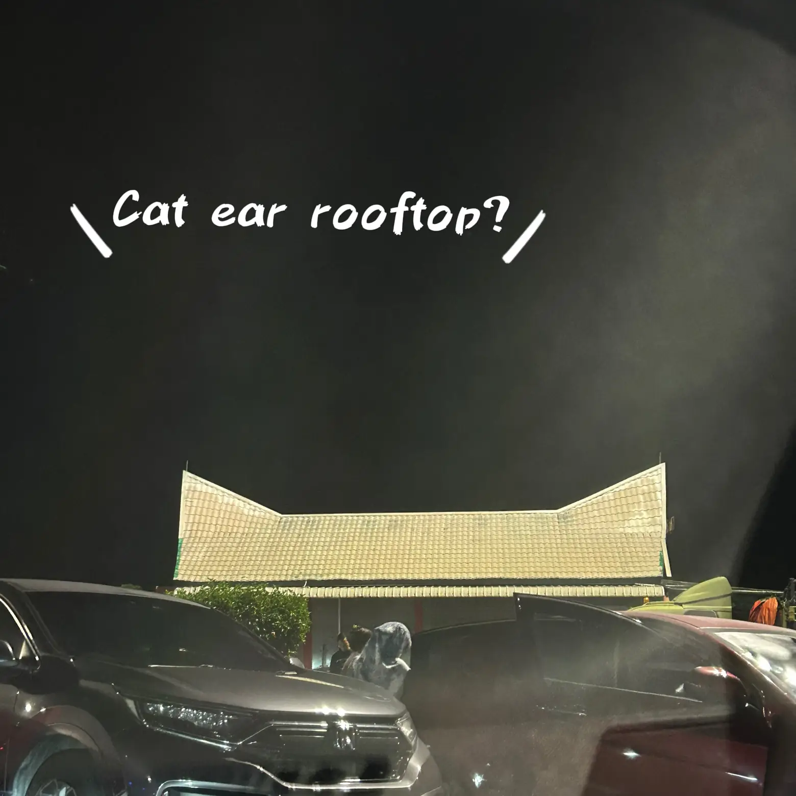 Saw A Rooftop looks like cat ear🐱 | แกลเลอรีที่โพสต์โดย Huiiiii | Lemon8