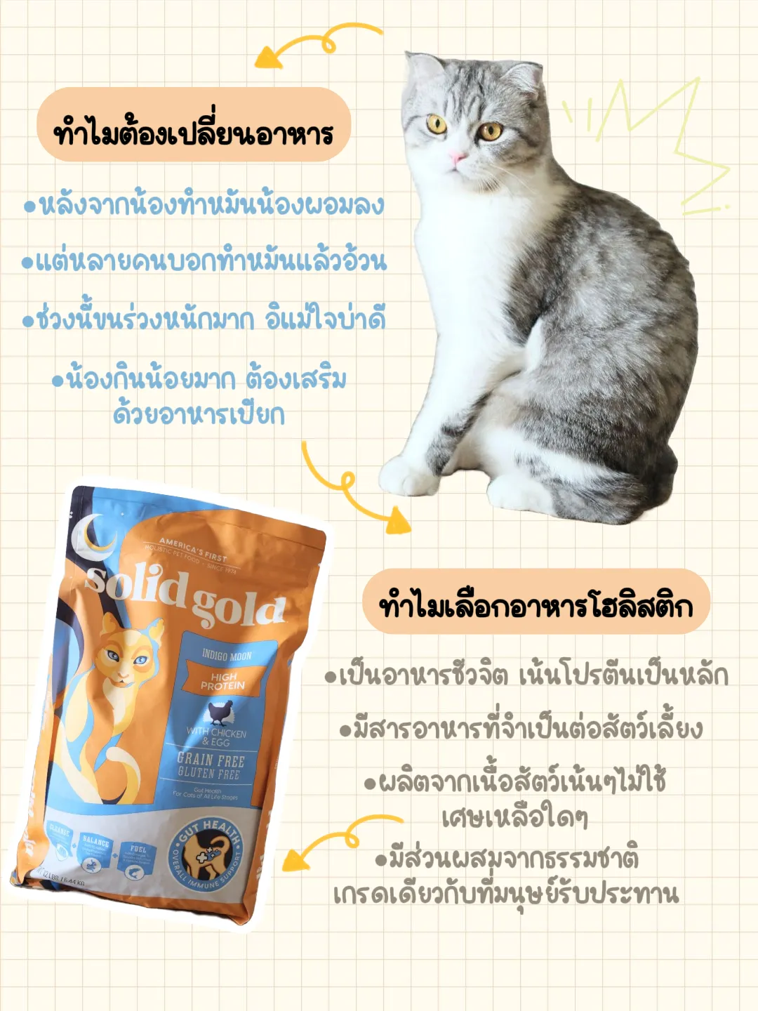 อาหารแมวที่ทำให้ป๋มตัวอ้วน!😅🤩 | แกลเลอรีที่โพสต์โดย Pmdpim •:`* | Lemon8