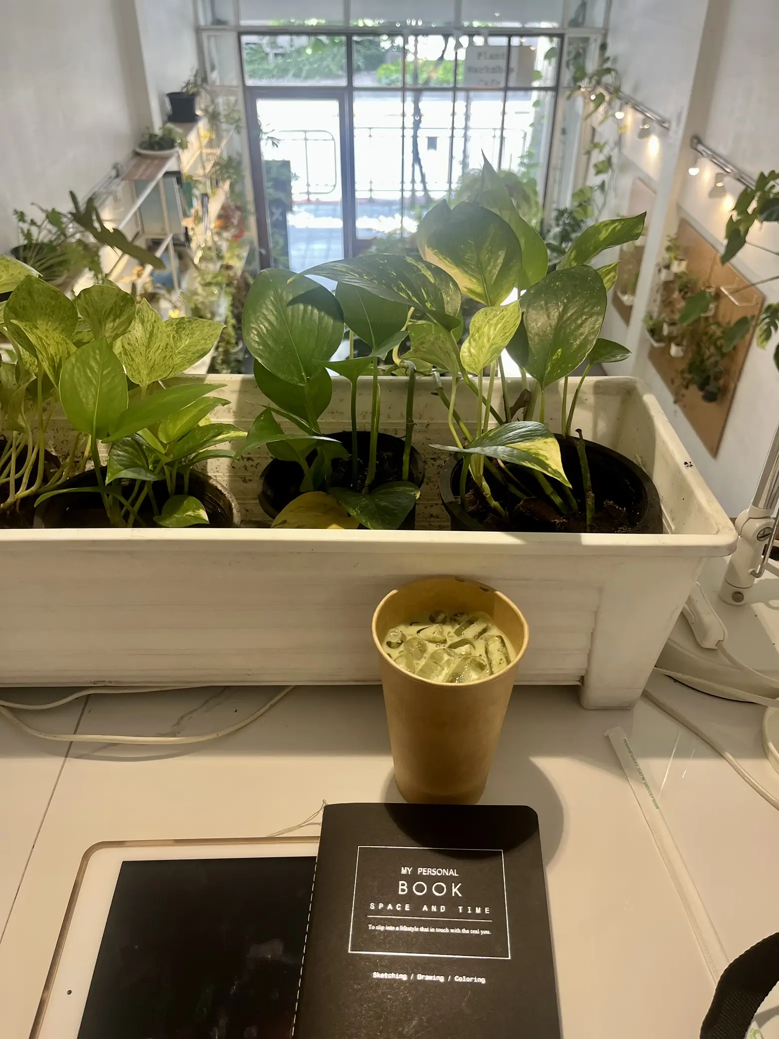 Plant Workshop Cafe คาเฟ่ล้อมไปด้วยต้นไม้ ใกล้BTSราชเทวี | แกลเลอรีที่ ...