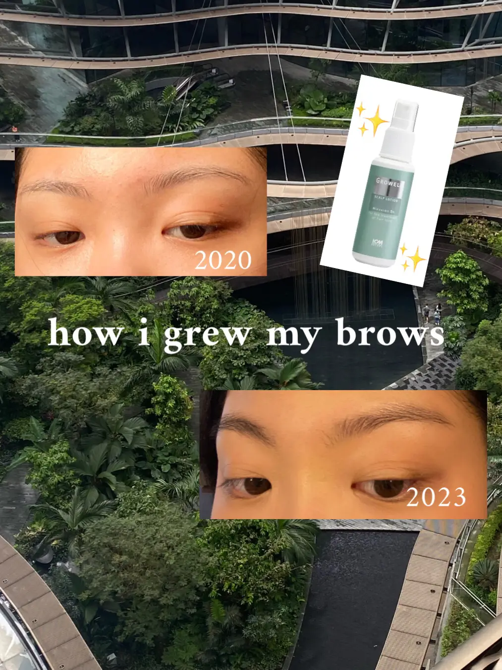 how i grew my eyebrows | แกลเลอรีที่โพสต์โดย angelica👼🏼 | Lemon8