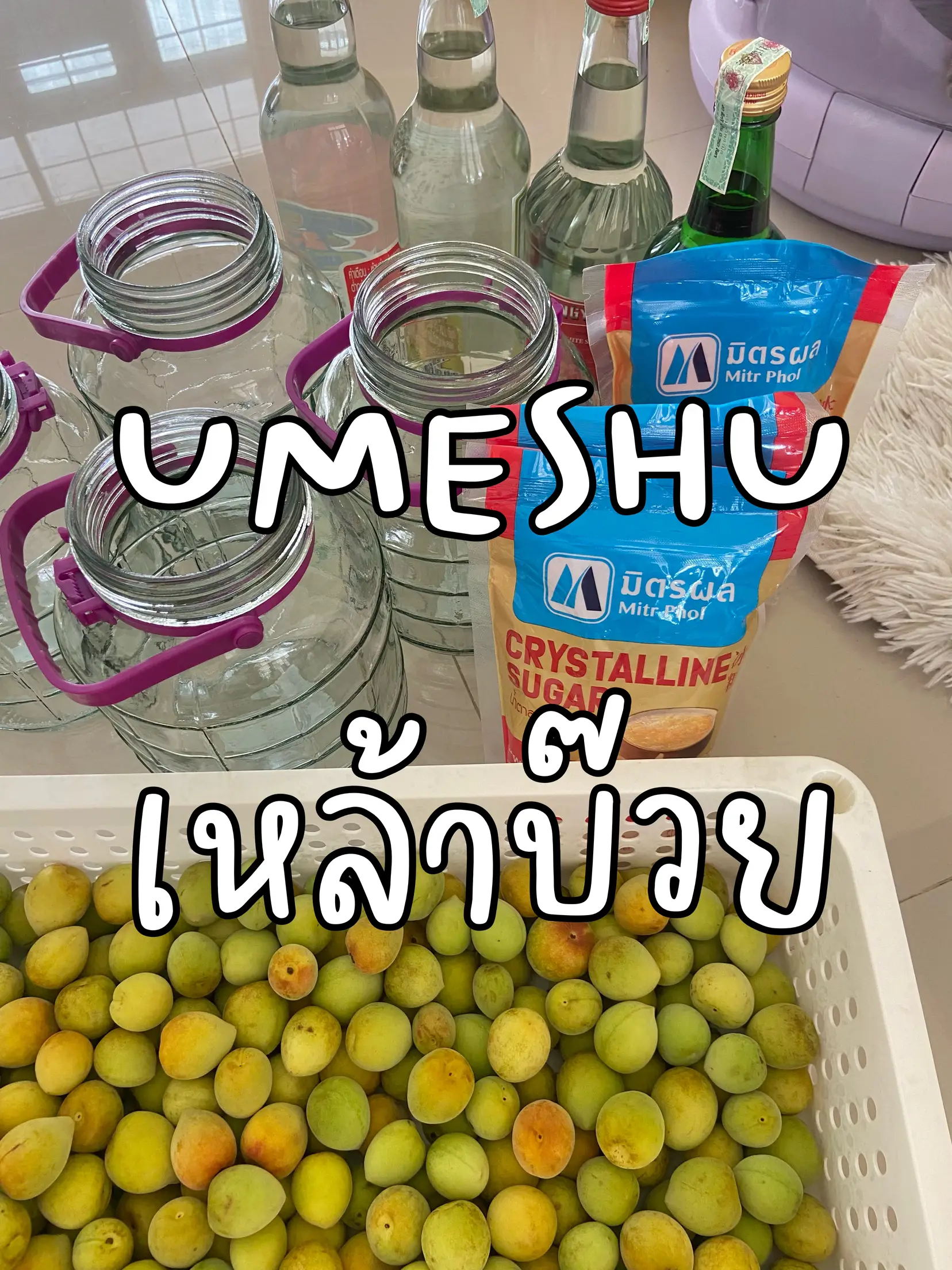 สูตรดองเหล้าบ๊วย ฉบับบ้านเราค่ะ 🥃🌸 | แกลเลอรีที่โพสต์โดย Baan.Mhee ...