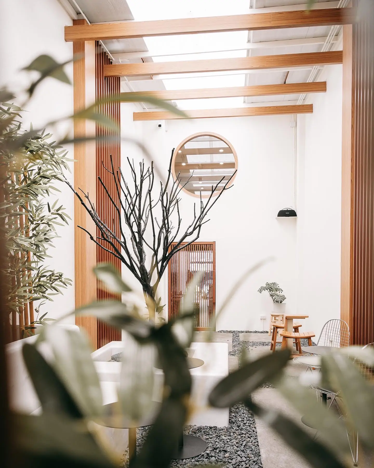 CAPULUS BKK คาเฟ่บรรยากาศสบายๆ สไตล์มินิมอล แสงสวยมาก | แกลเลอรีที่ ...