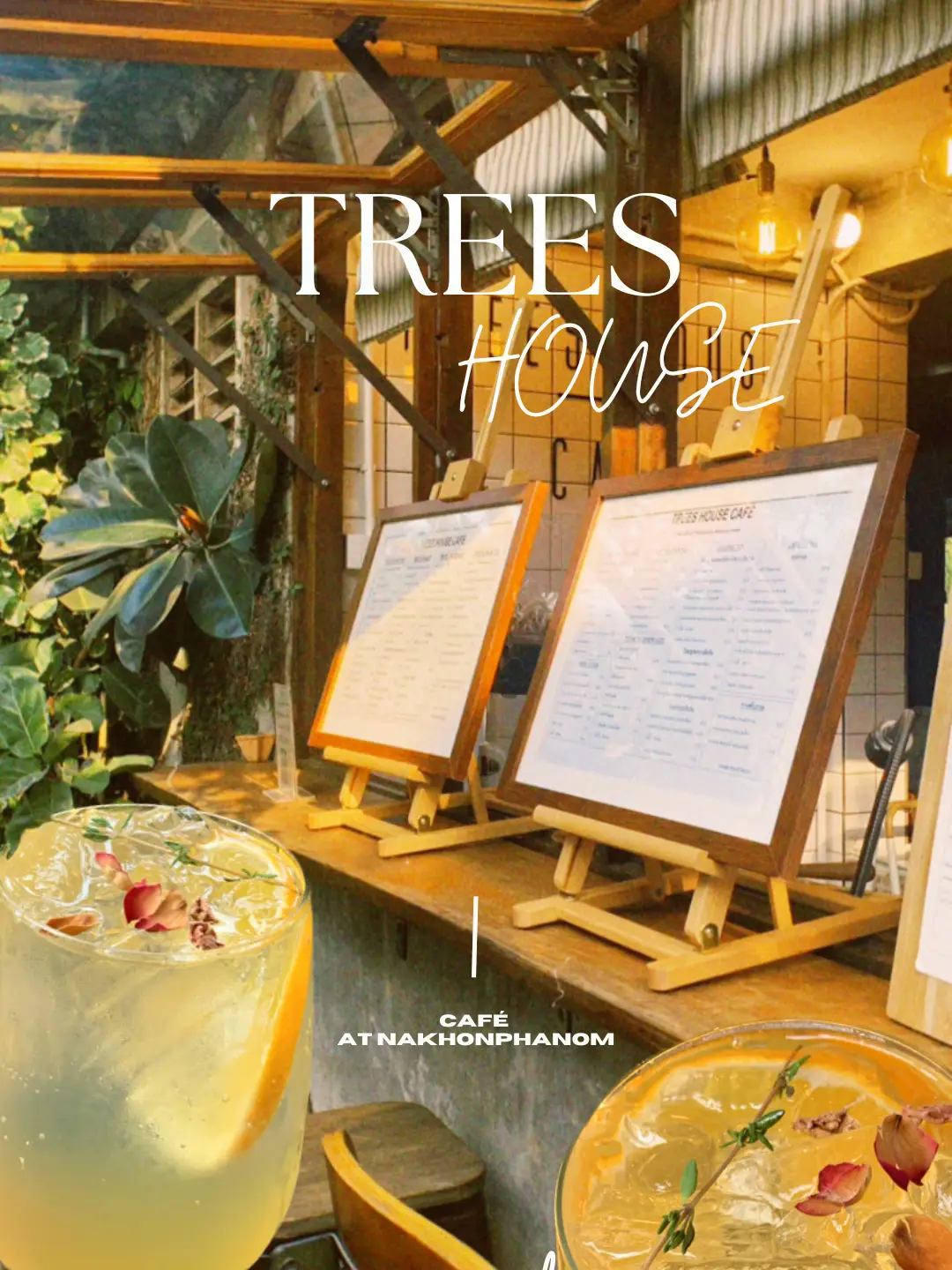 มาไหว้พระธาตุ ห้ามพลาดร้าน 𝐓𝐫𝐞𝐞𝐬 𝐡𝐨𝐮𝐬𝐞 𝐜𝐚𝐟𝐞 💖👩🏻‍🌾🍋 | แกลเลอรีที่โพสต์ ...