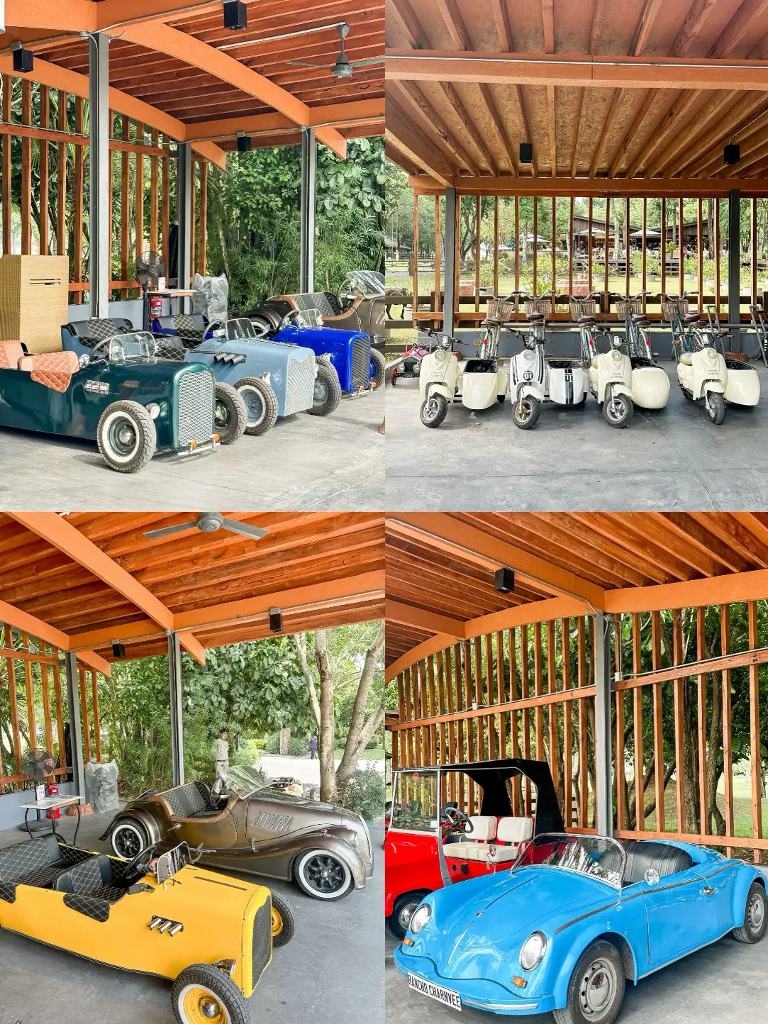 🐎Trot cafe. He's big. There's a dwarf horse driving a vintage car. Nice ...