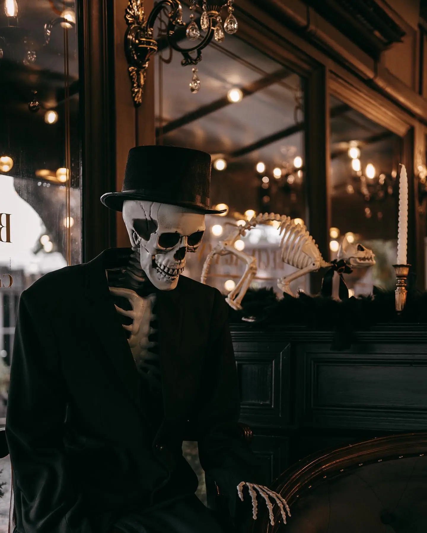 Begin Again เปลี่ยนบรรยากาศเป็นธีมฮาโลวีน 💀🖤 | แกลเลอรีที่โพสต์โดย Rattomarty | Lemon8