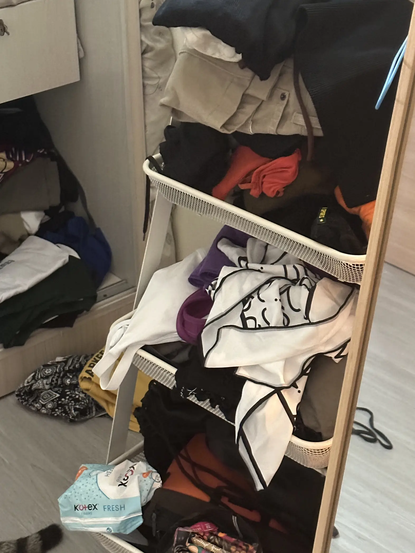 monami - Lemon8 Search