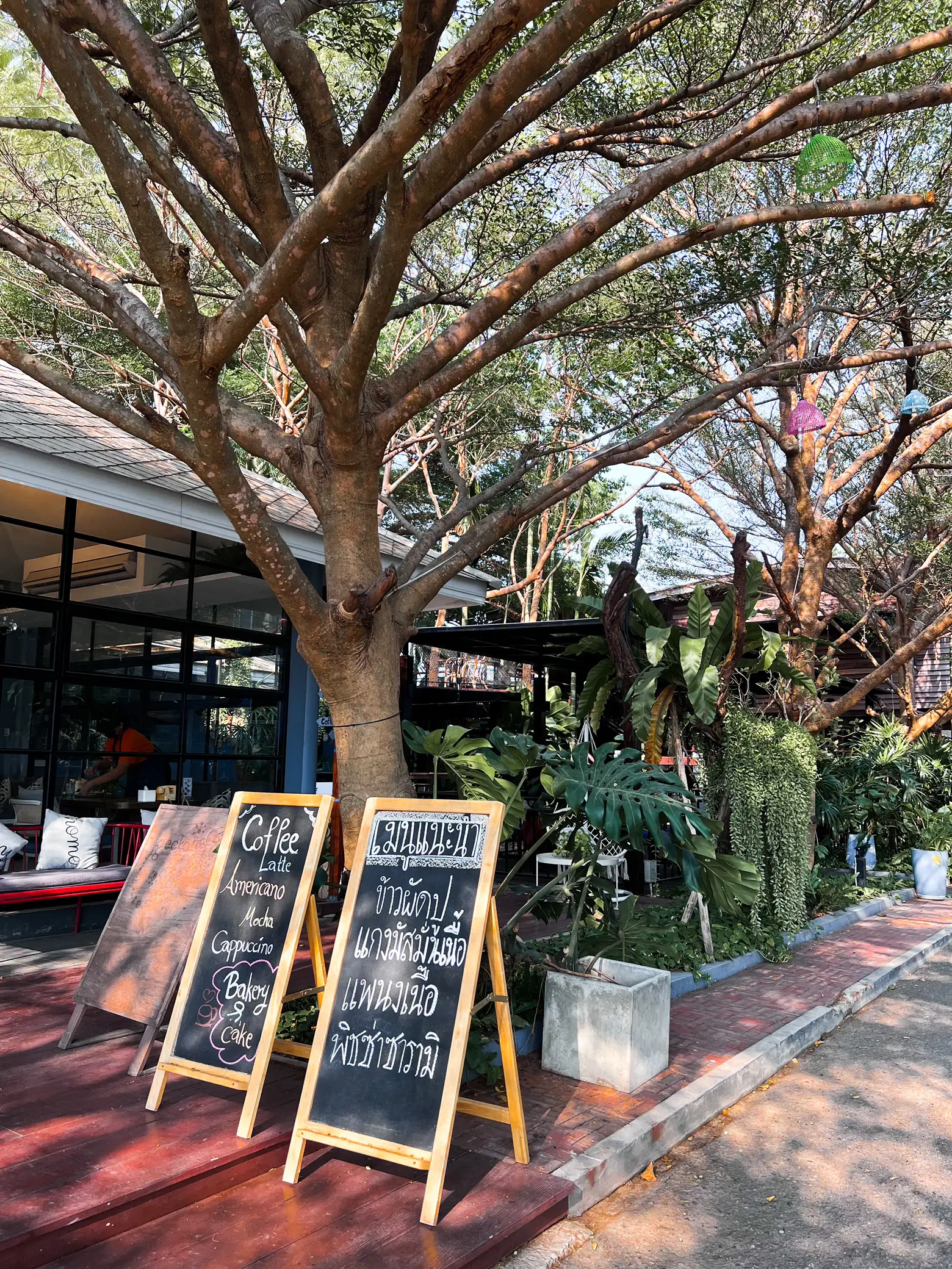 “Gecko Garden Cafe” คาเฟ่พัทยาใต้ ที่พาน้องหมาเข้าได้ 📍🐶 | แกลเลอรีที่ ...
