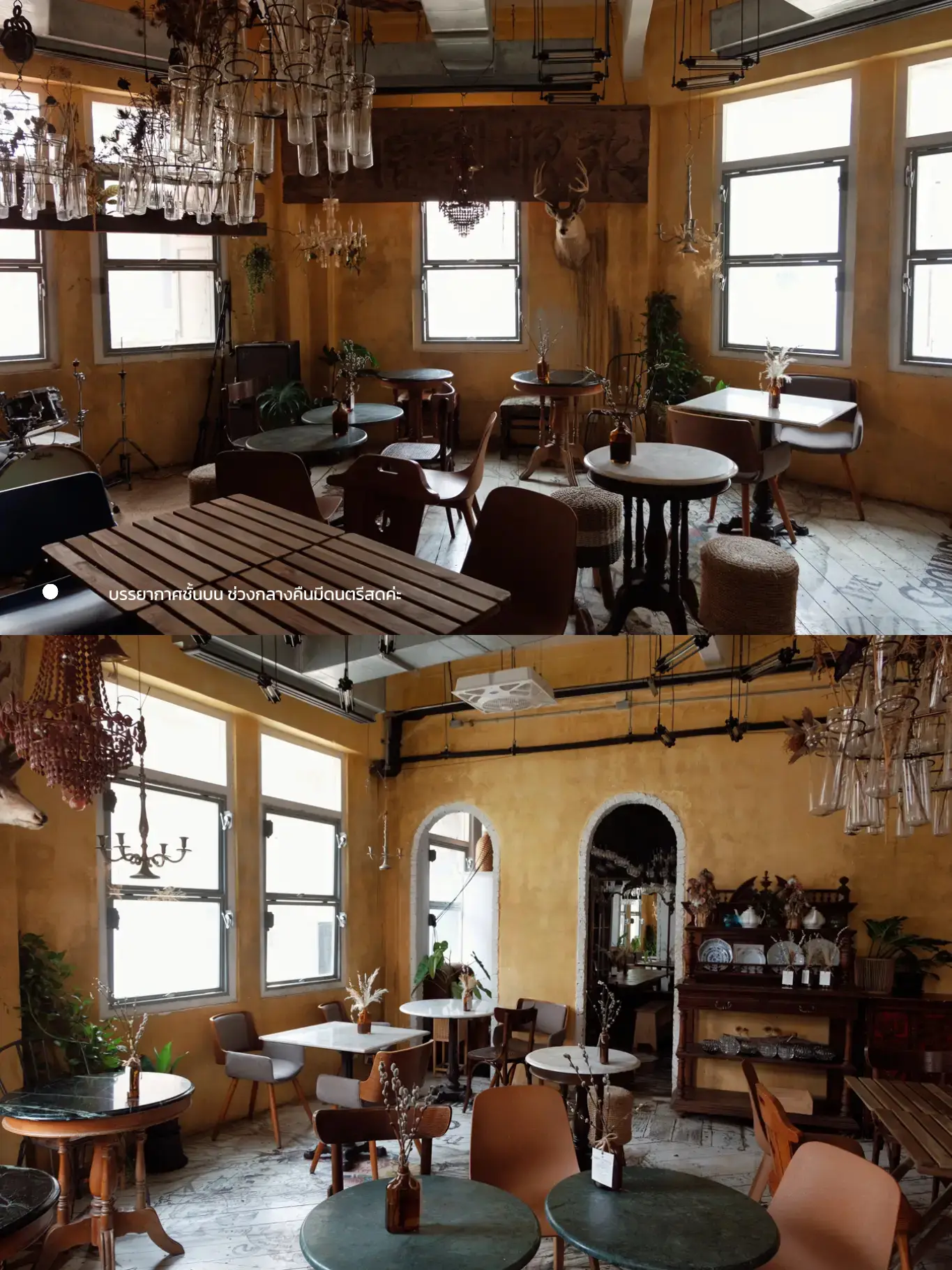 Wallflowers Cafe and Bar คาเฟ่ดังย่านเยาวราช | แกลเลอรีที่โพสต์โดย Naree.nr | Lemon8