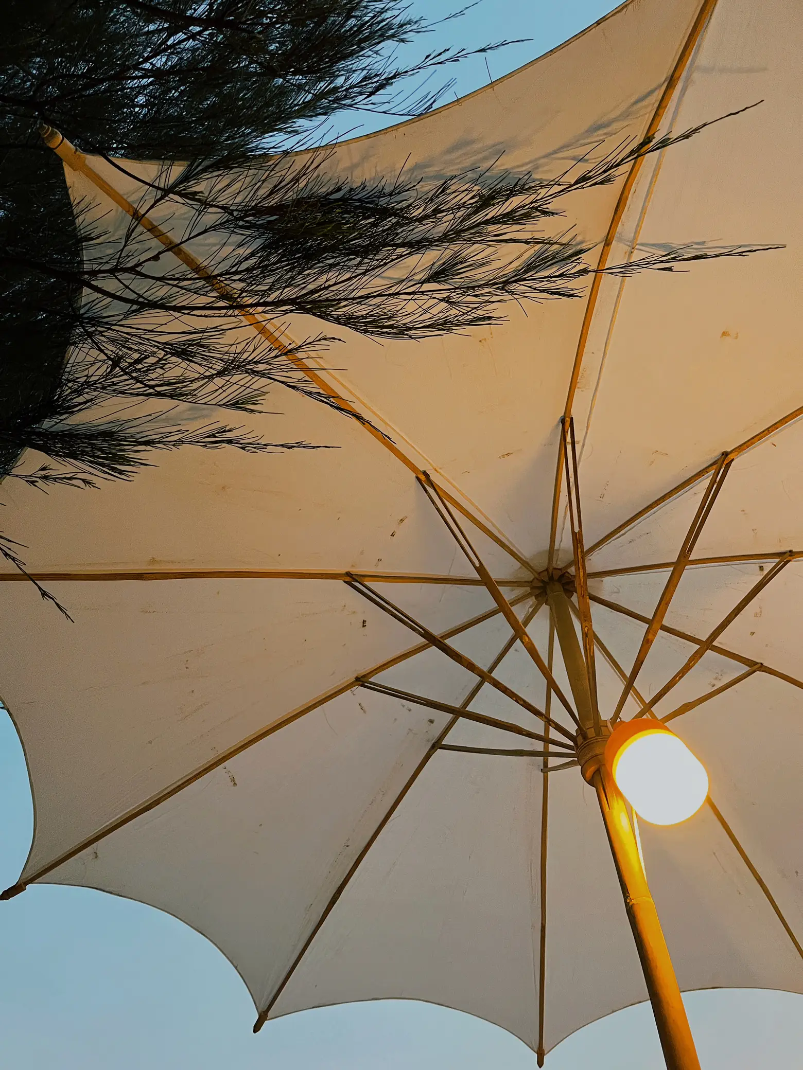 Triple O Coffee, หาดแหลมเจริญ ระยอง (รูปเยอะ) | แกลเลอรีที่โพสต์โดย PP_92 | Lemon8