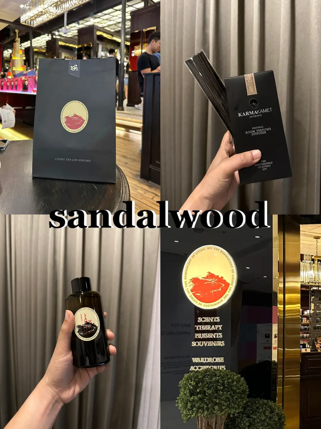 ก้านไม้หอม…กลิ่นนี้ควรมีติดห้อง!! | แกลเลอรีที่โพสต์โดย Ojay🐻 | Lemon8