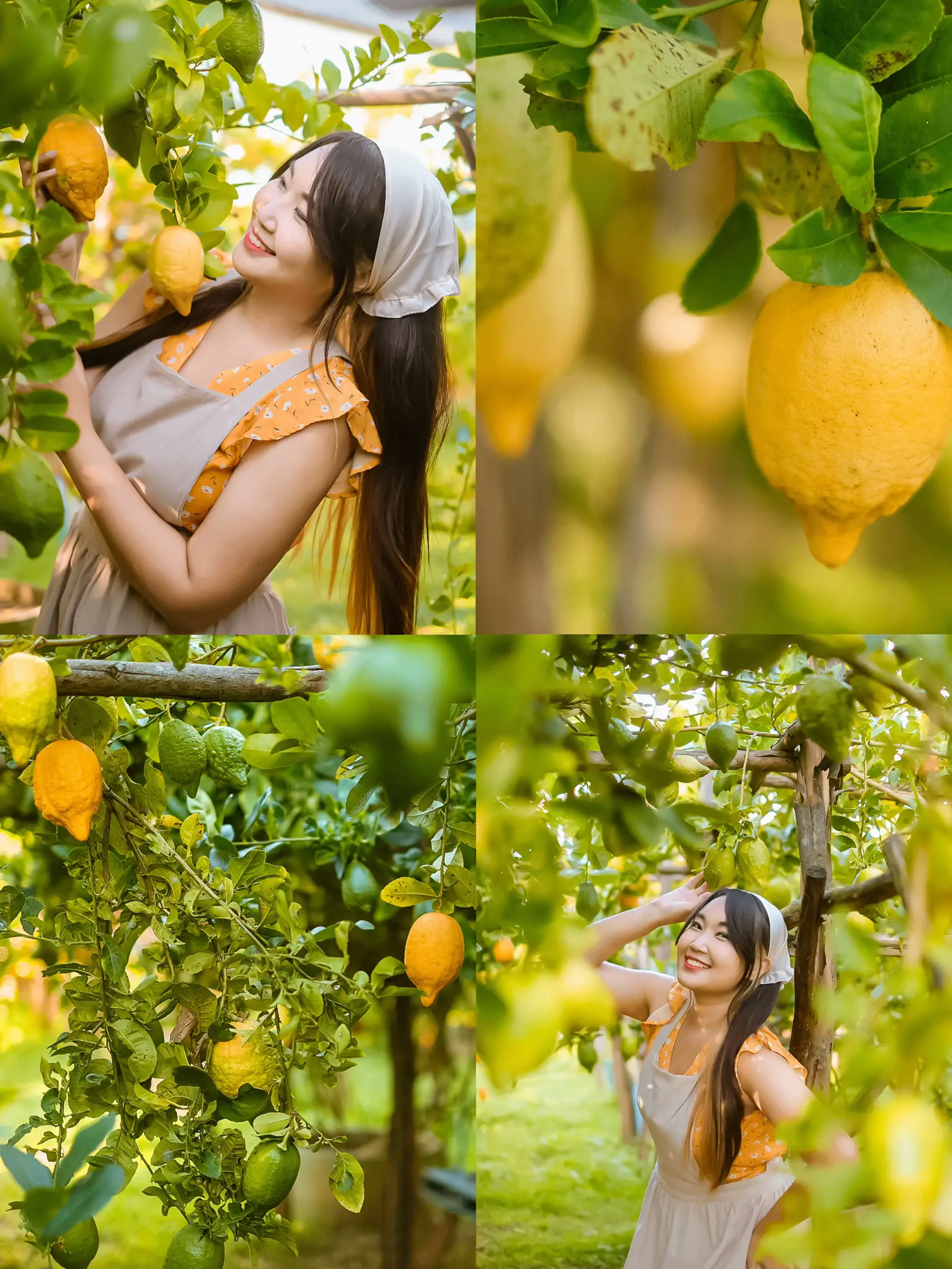 แปลงร่างไปถ่ายรูปที่สวนเลม่อน แบบน่ารักๆกัน 🍋😊 | แกลเลอรีที่โพสต์โดย Dance’s Day off | Lemon8